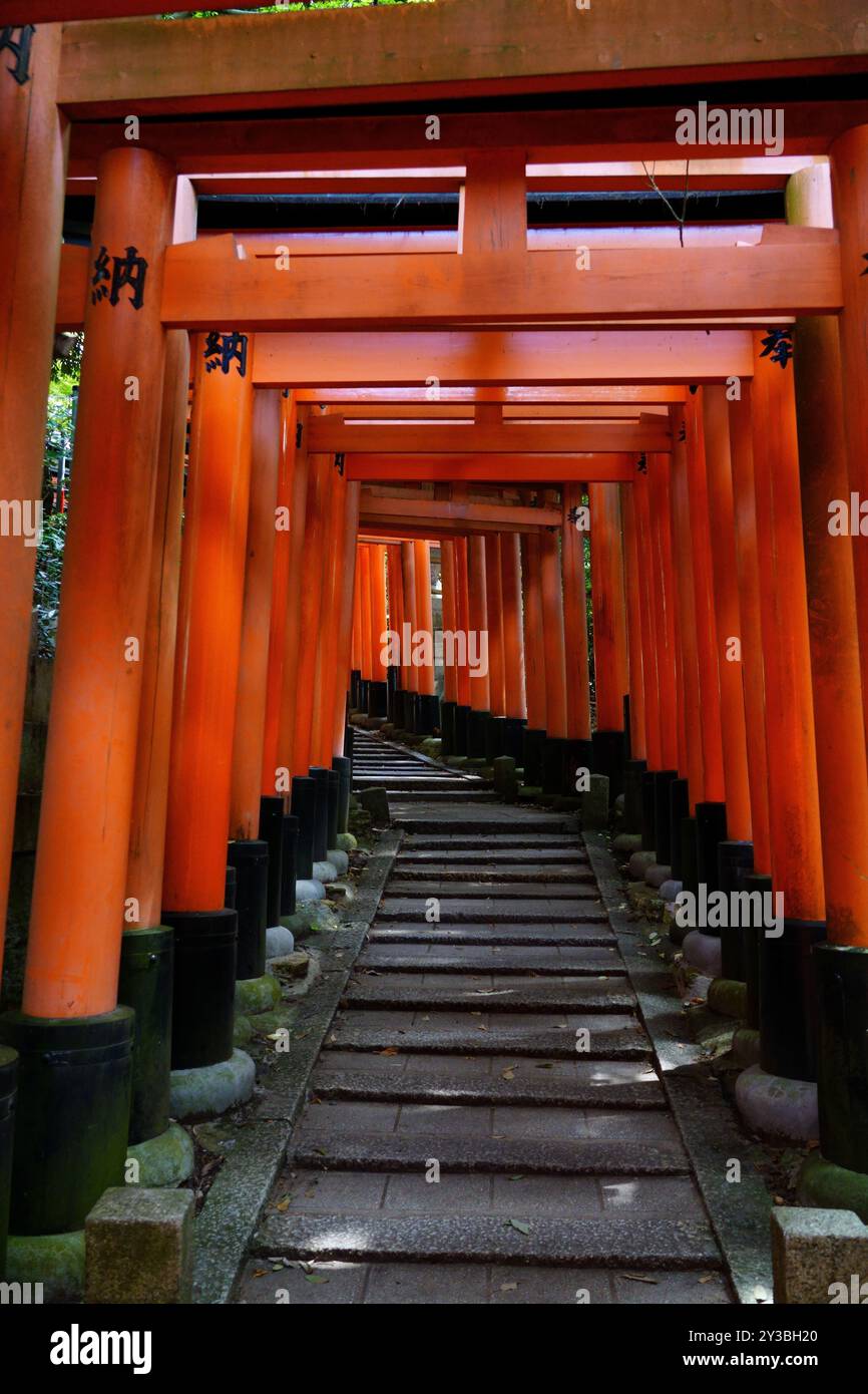 Fushimi Inari-taisha (Japanese: 伏見稲荷大社) is the head shrine of the kami ...