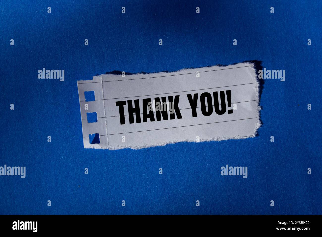 Thank you message written on ripped torn paper piece with blue ...
