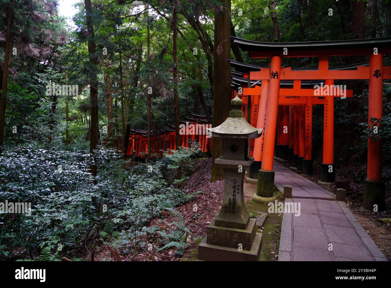 Fushimi Inari-taisha (Japanese: 伏見稲荷大社) is the head shrine of the kami ...