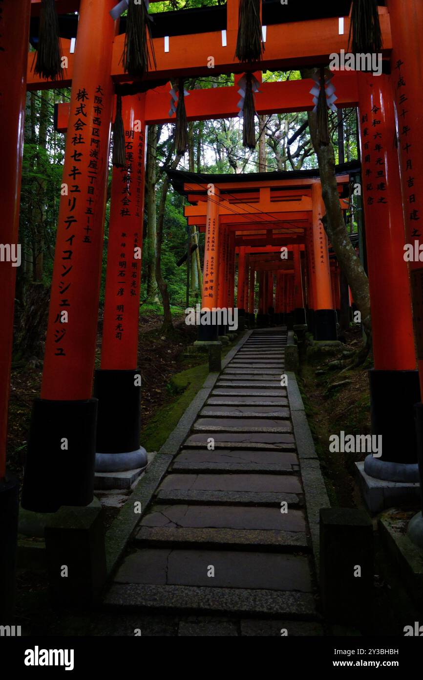 Fushimi Inari-taisha (Japanese: 伏見稲荷大社) is the head shrine of the kami ...