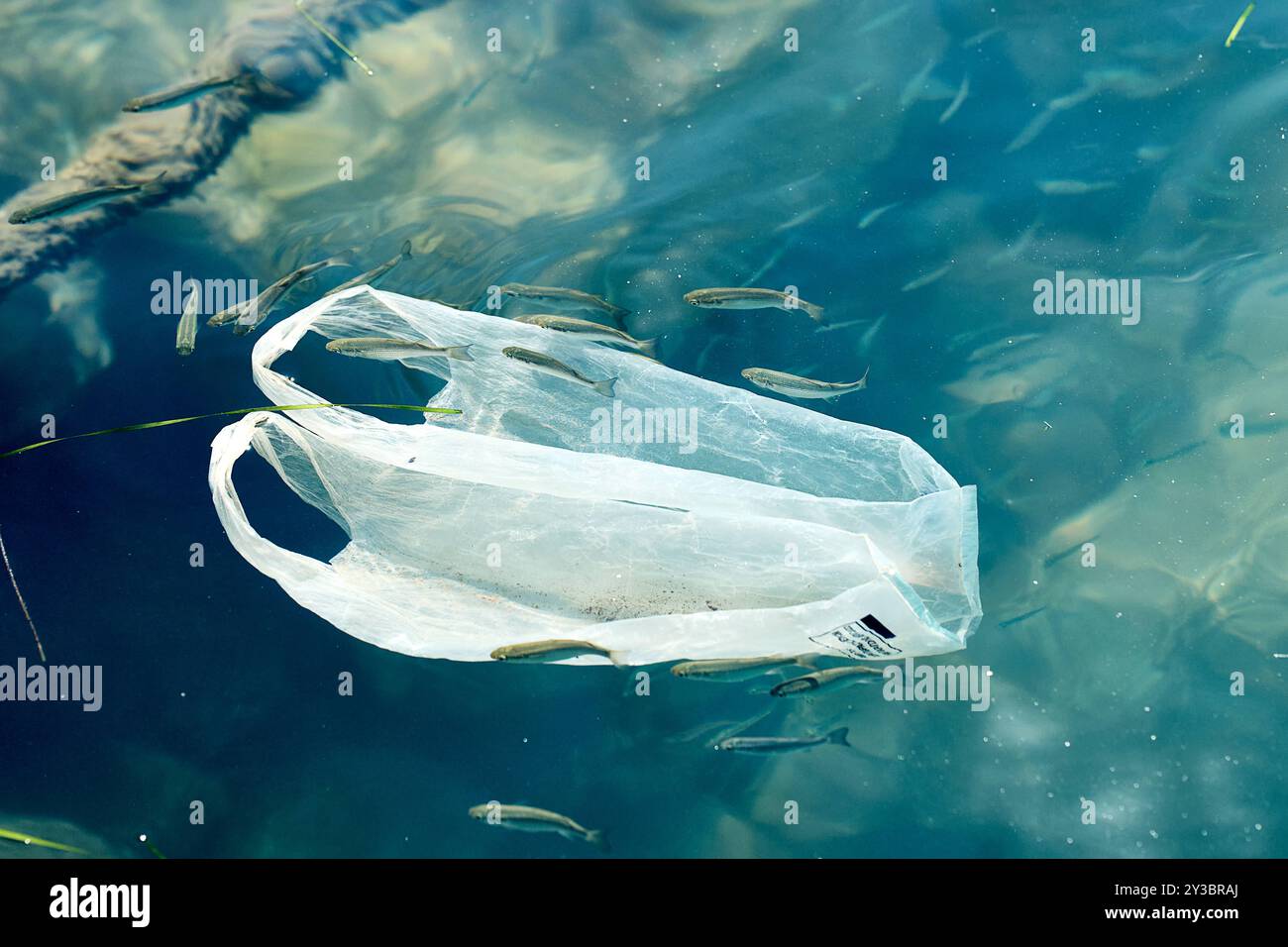 Katakolon, Greece - August 30, 2024: Plastic bag floats in the sea ...