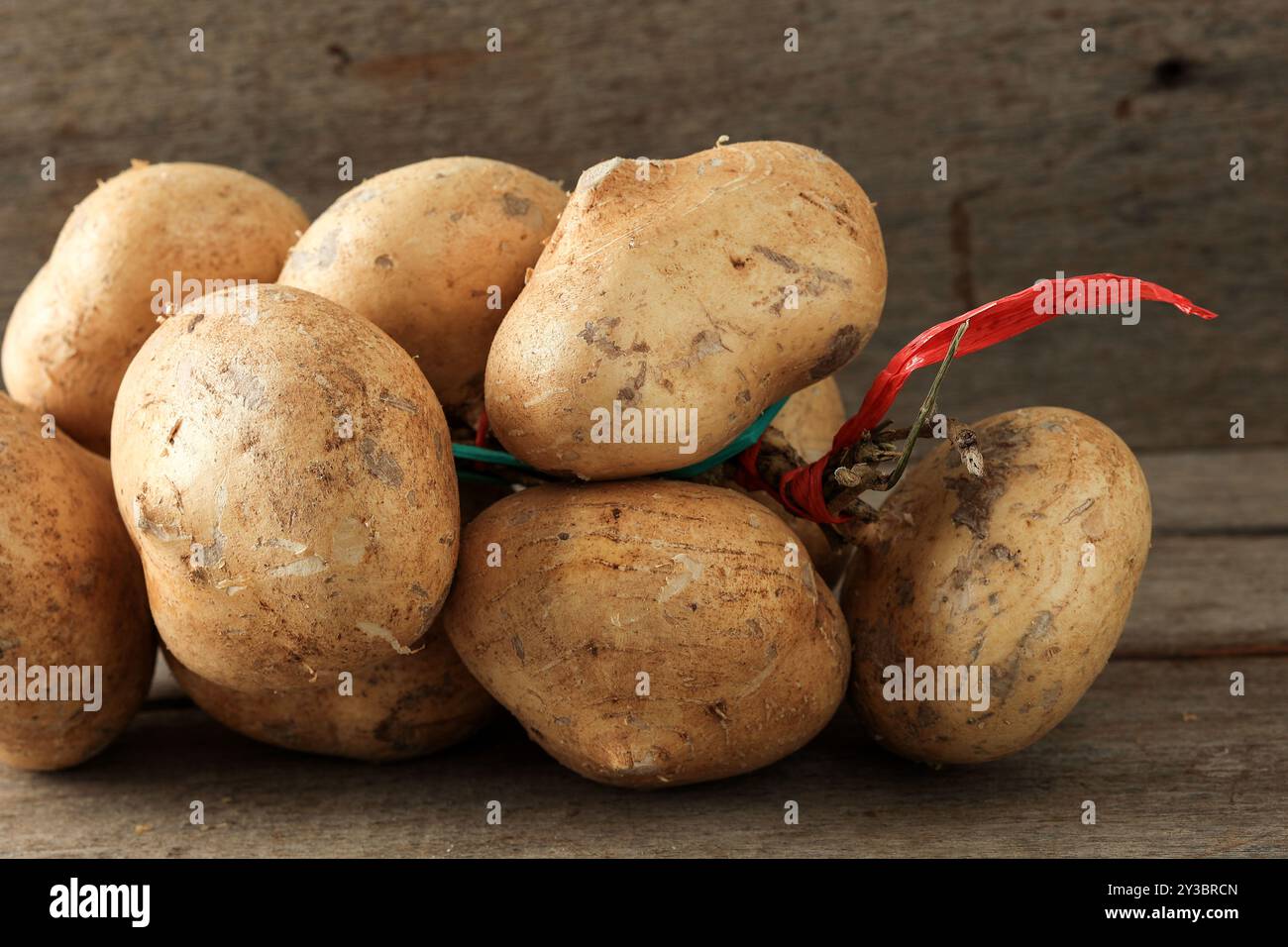 Fresh Jicama or Bengkoang, Yam Bean. Jicama Can Be Eaten Raw or Cooked ...