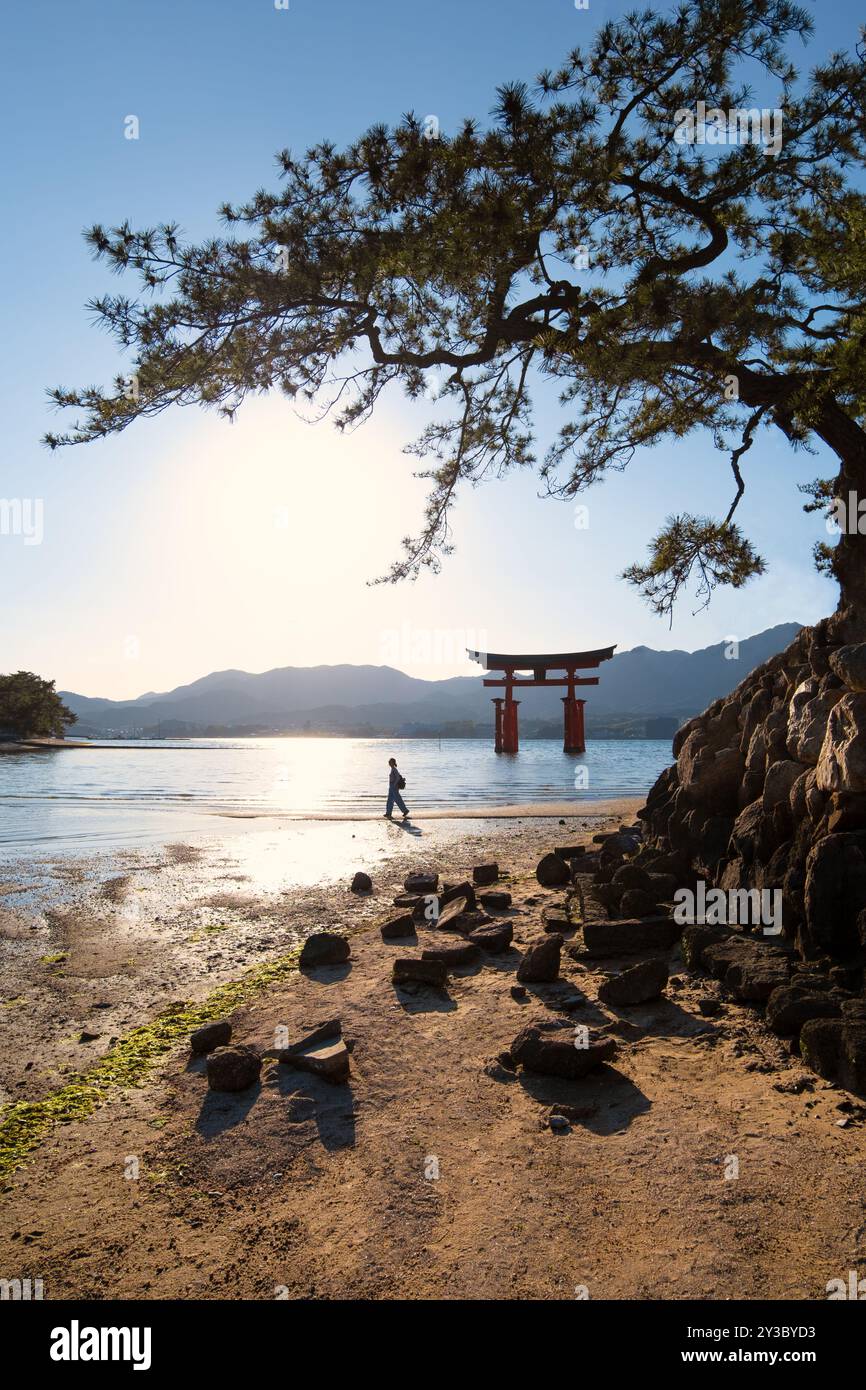 Floating Torii gate of Itsukushima Shrine at Miyajima, Hiroshima Stock ...