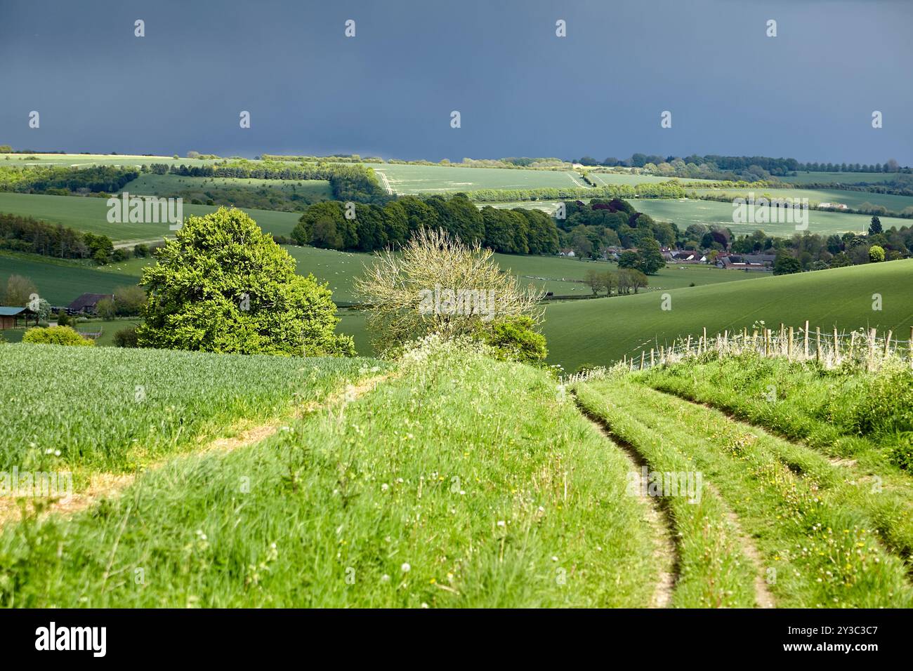 Scenic view of a countryside landscape featuring lush green fields ...