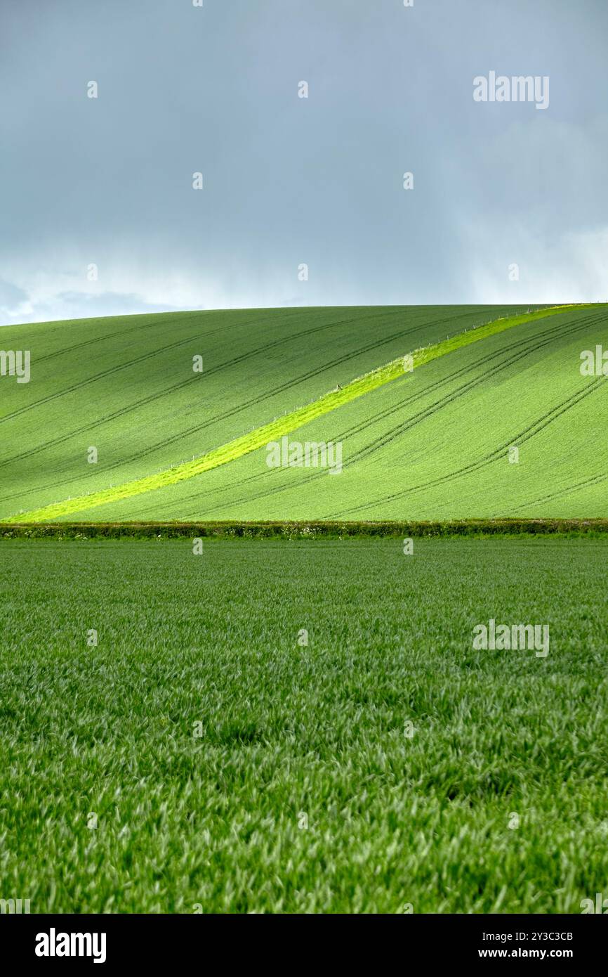 Expansive green fields stretch under hi-res stock photography and ...