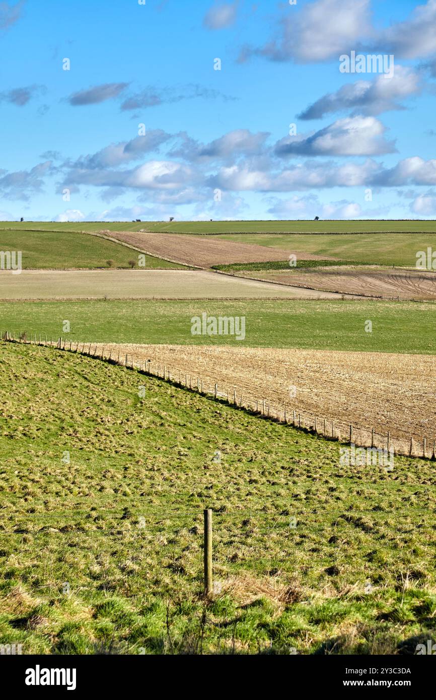 Serene pastoral scene depicting hi-res stock photography and images - Alamy