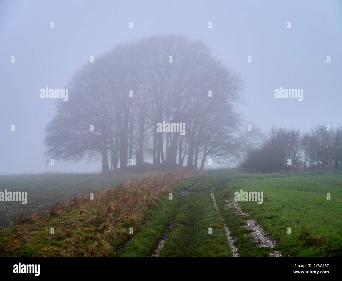 Misty countryside scene featuring a pathway leading to a silhouette of ...