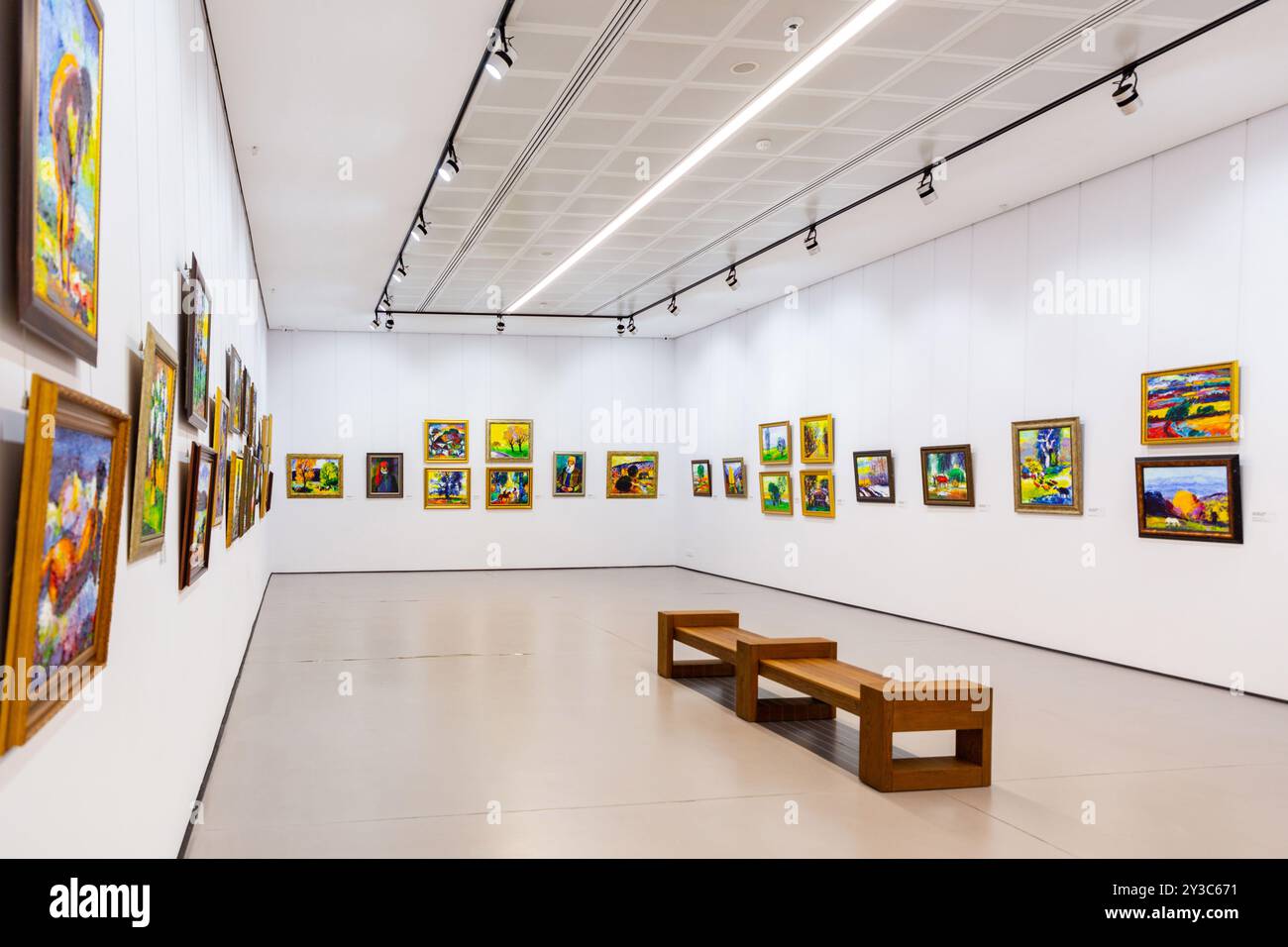 Tbilisi, Georgia - 14 AUG, 2024: National Museum of Fine Arts situated ...