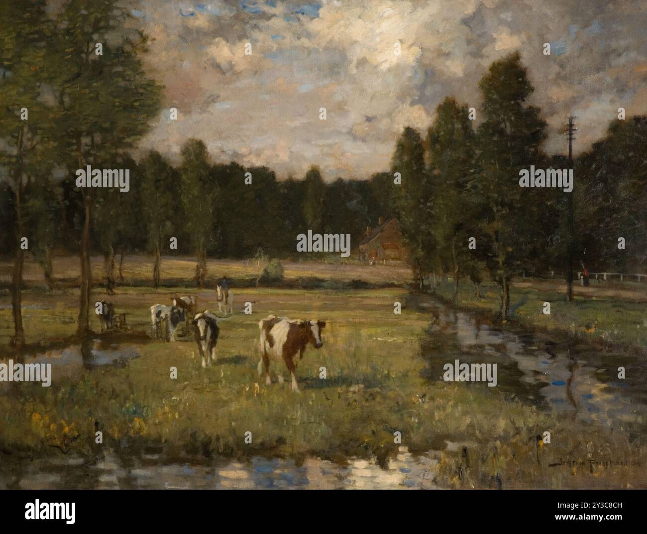 Suffolk Water Meadows, 1906 Stock Photo - Alamy