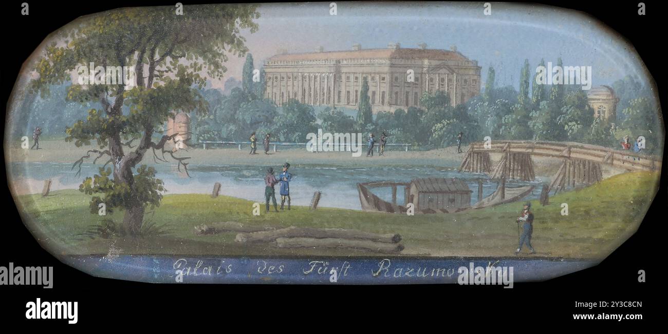 The Palais Rasumofsky in Vienna. Private Collection Stock Photo - Alamy