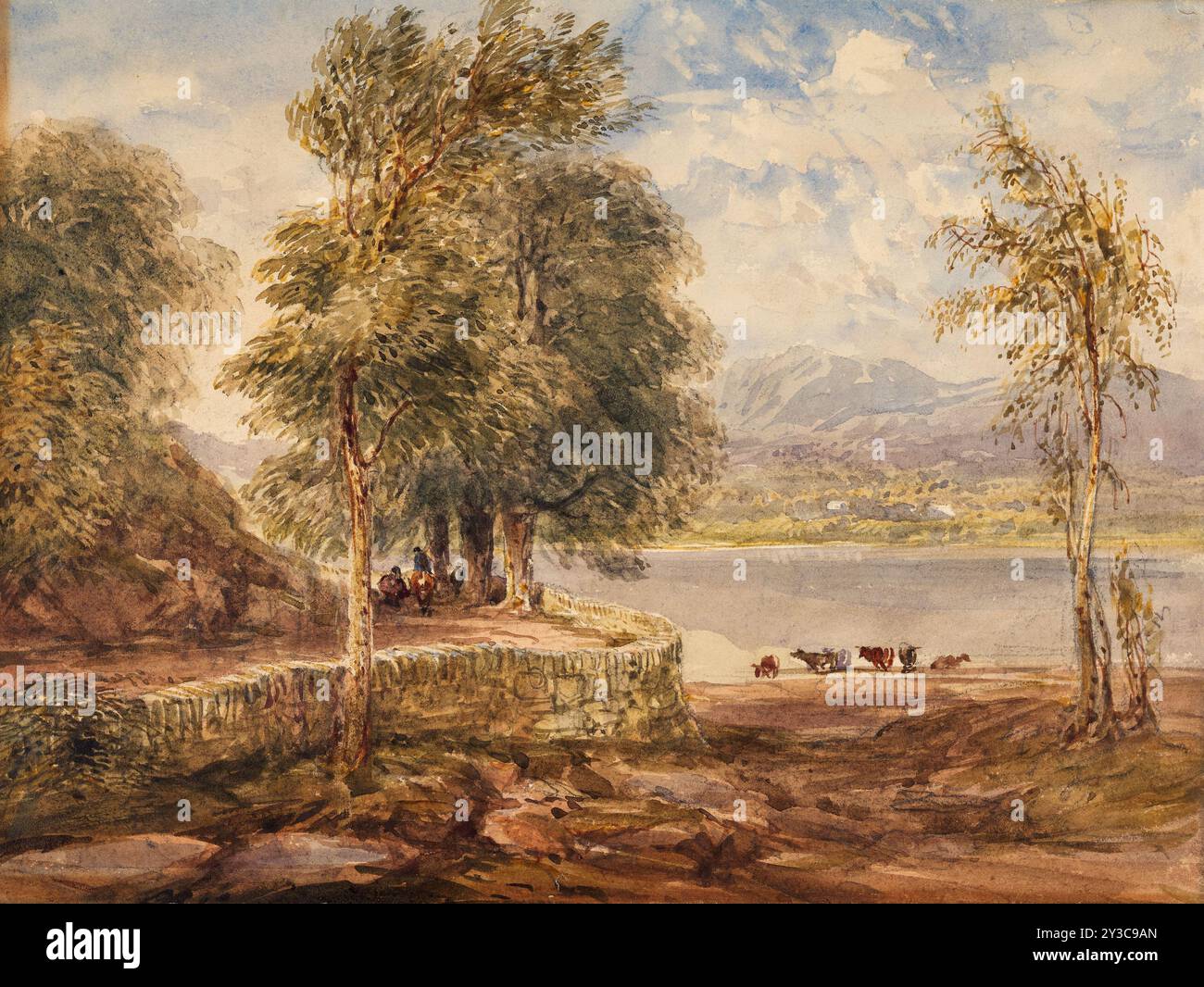 Stone age cattle hi-res stock photography and images - Alamy