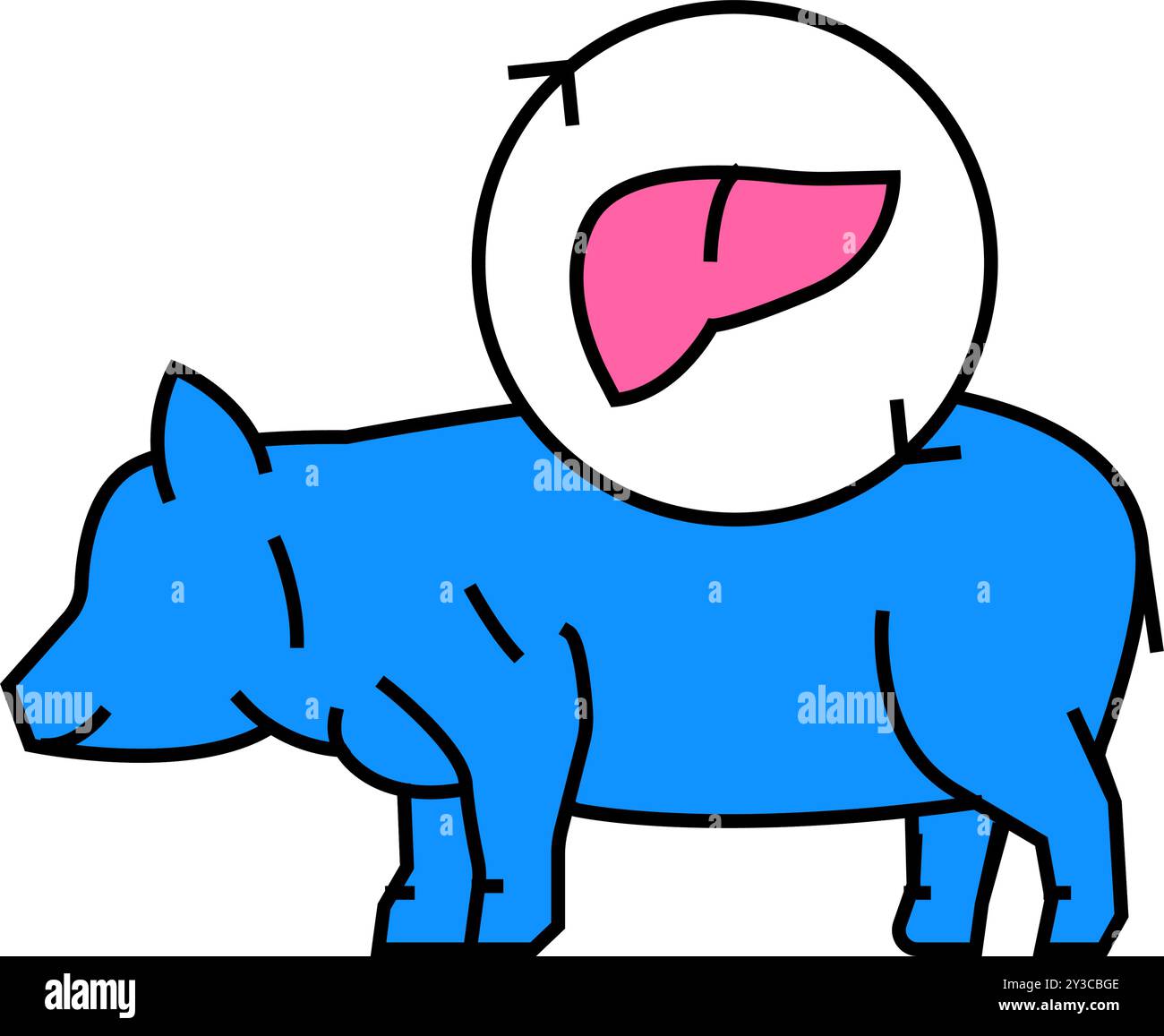 xenotransplantation future technology icon color illustration Stock Vector Image & Art - Alamy