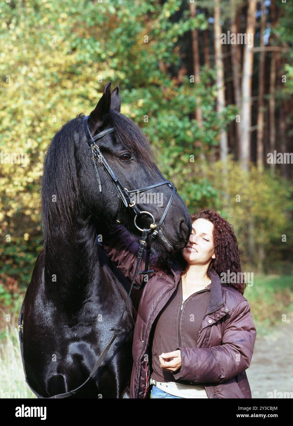 The black stallion 2 hi-res stock photography and images - Alamy