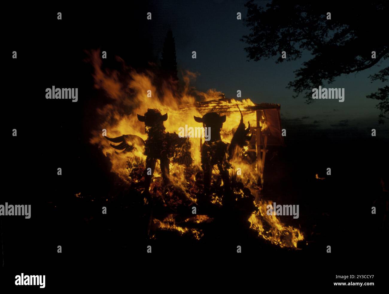 Burning animal sarcophagi at a hub (corpse burning), Bali, Indonesia ...