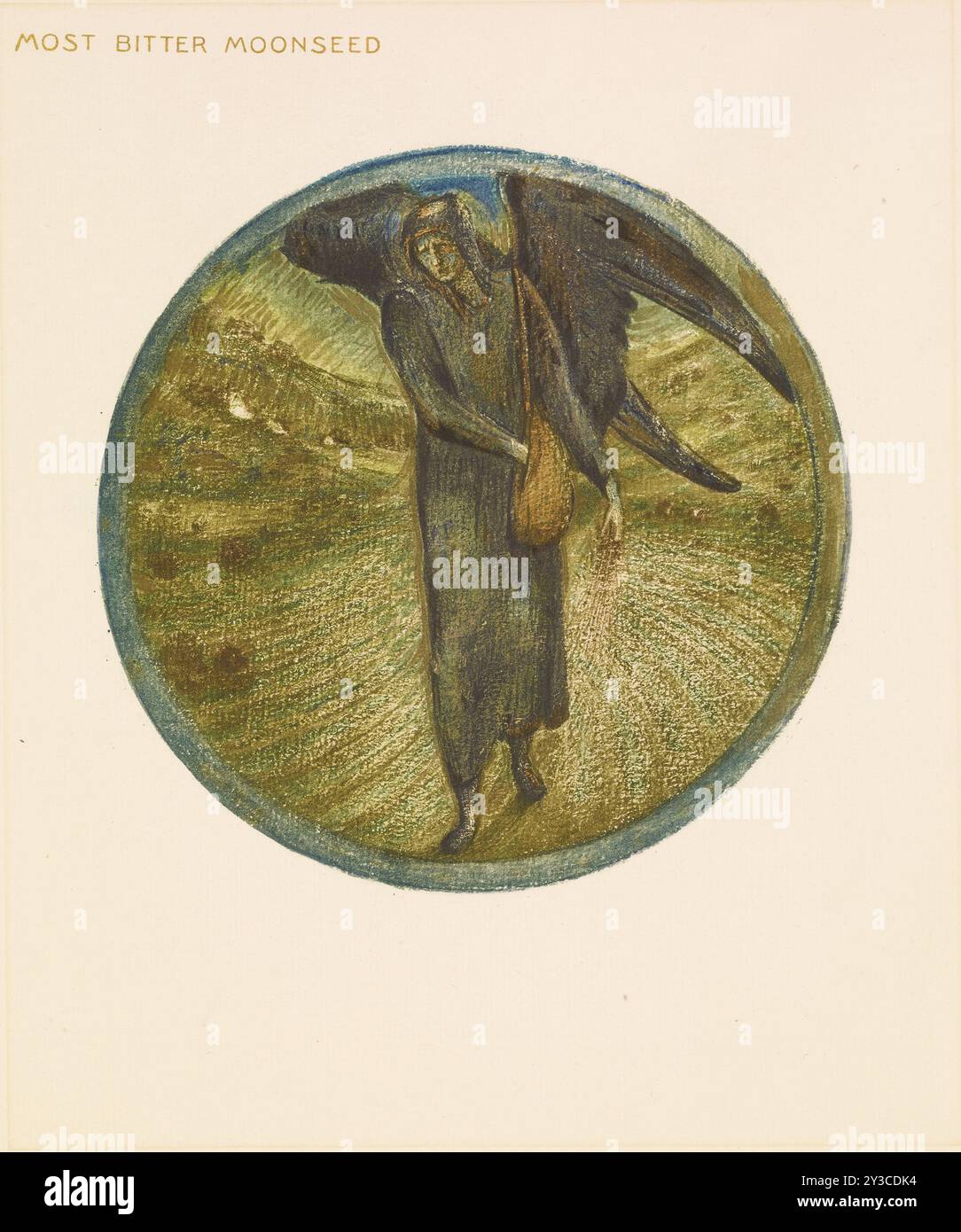 The Flower Book - Most Bitter Moonseed, 1905. Menispermum. Illustration ...