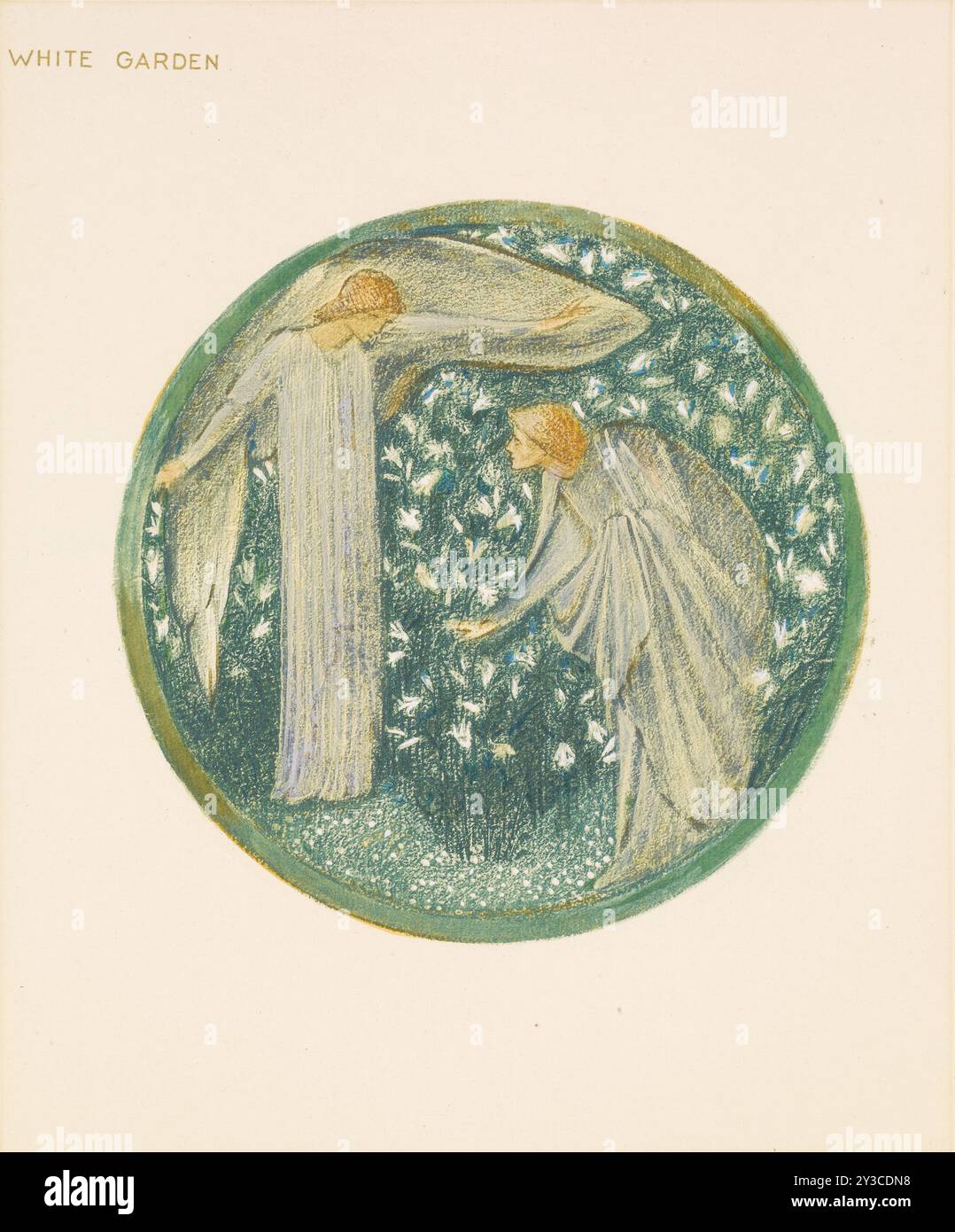 The Flower Book - White Garden, 1905. Atriplex hortensis. Illustration ...