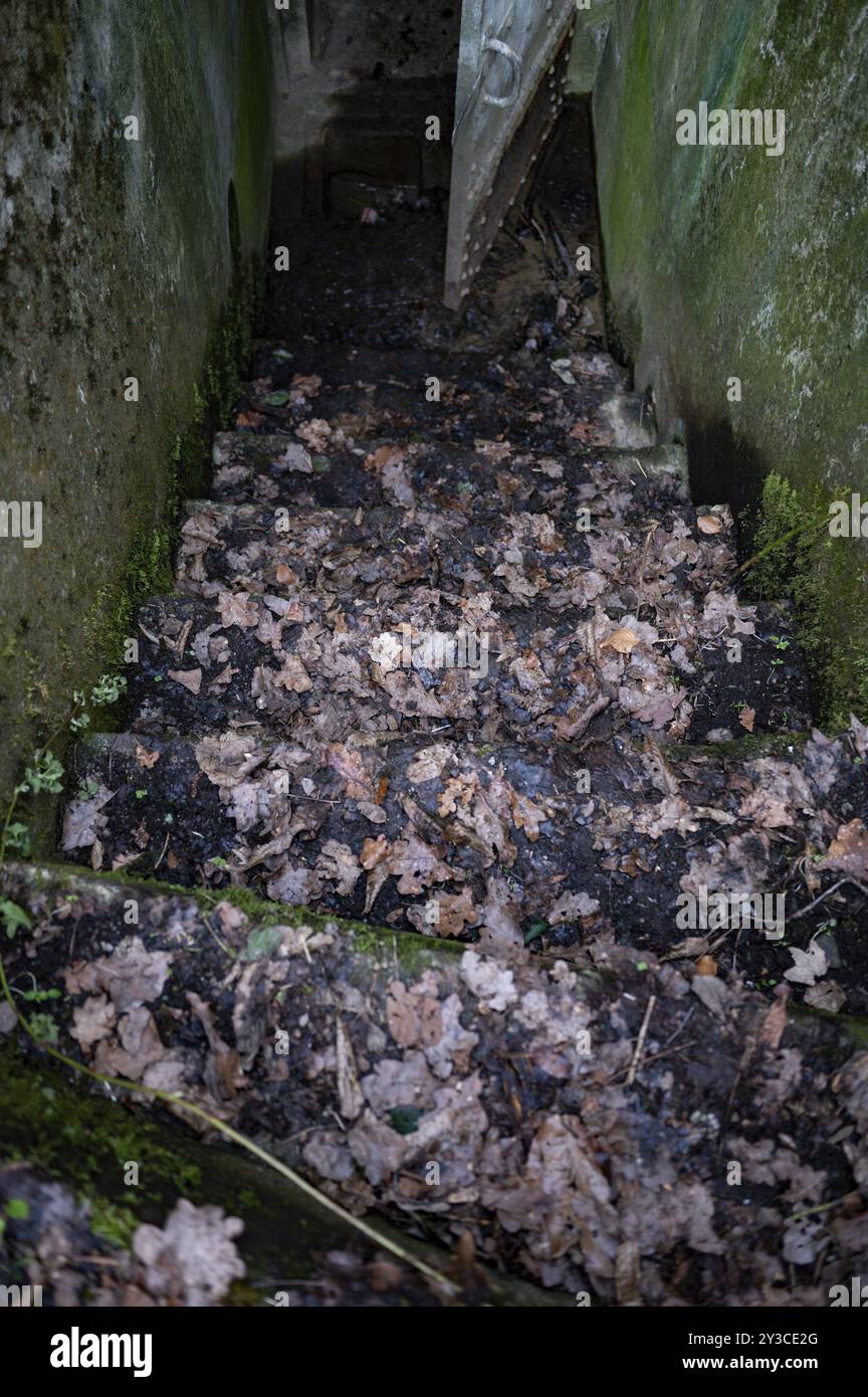 Steps down into the Cheneux bunker, 2nd World War, built 1933-1936 ...