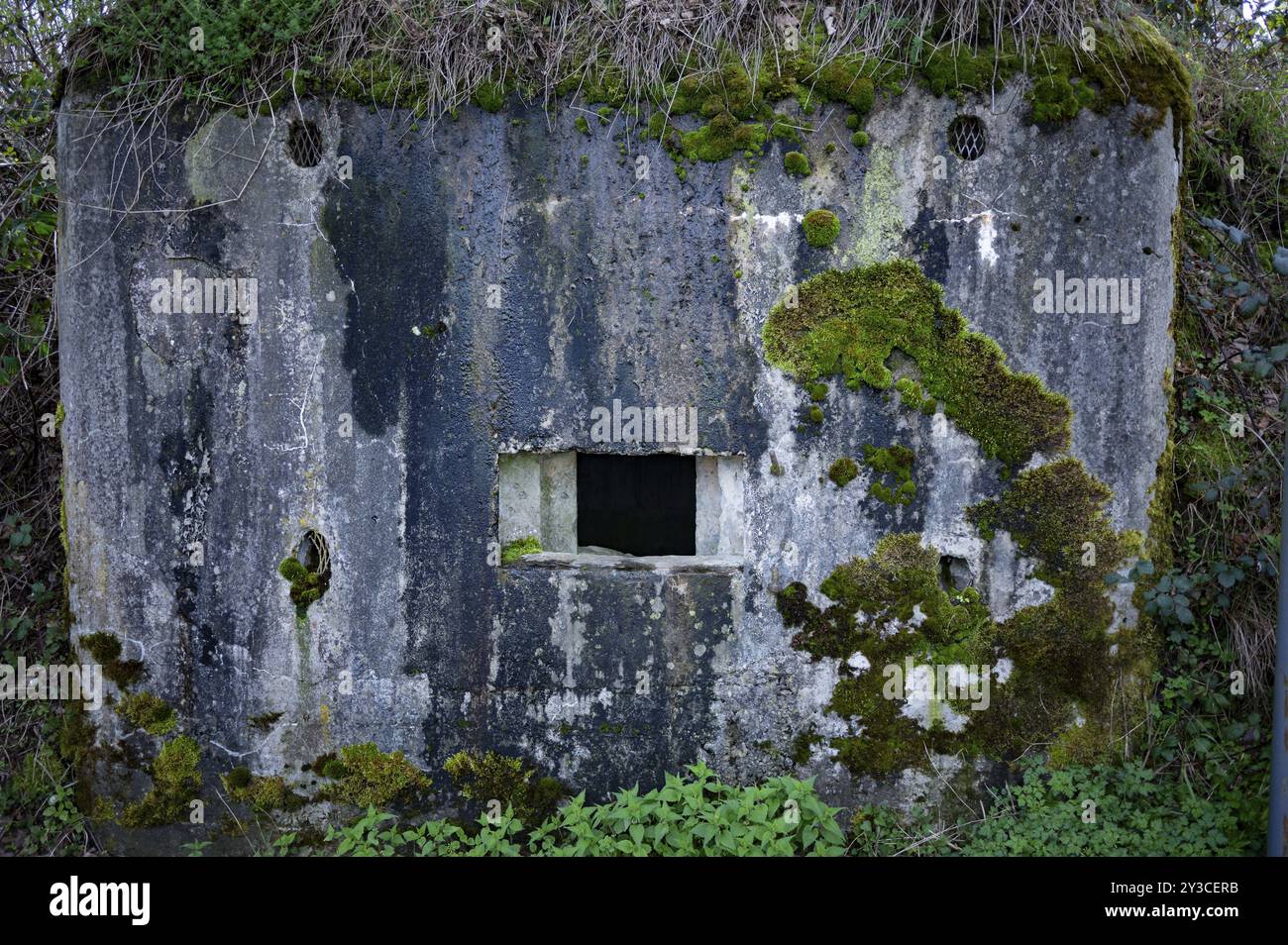 Bunker Cheneux from the outside front, overgrown with moss, grass, ivy ...
