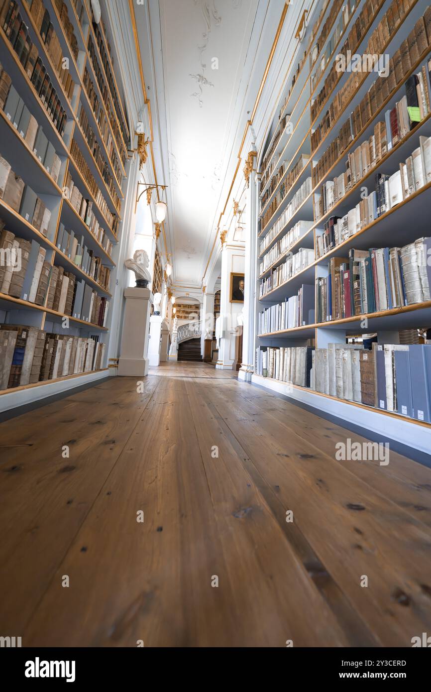 Tall empty wooden bookshelf hi-res stock photography and images - Alamy
