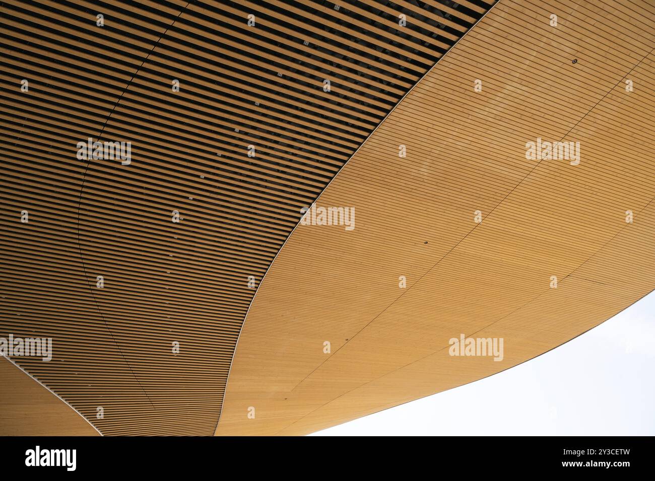 Roof construction, Oodi Central Library and Cultural Centre, design by ...