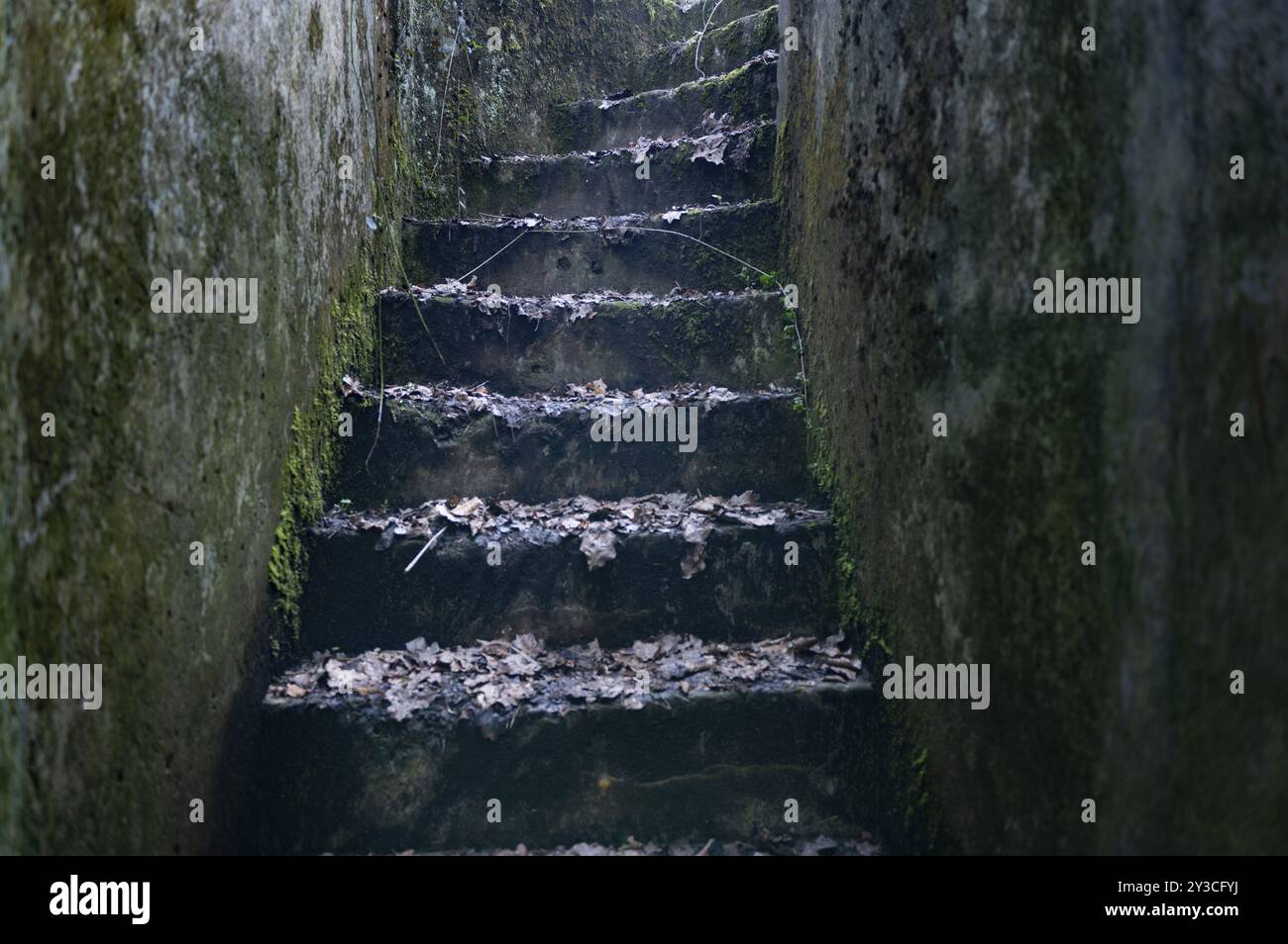 Steps up from the Cheneux bunker, 2nd World War, built 1933-1936 ...