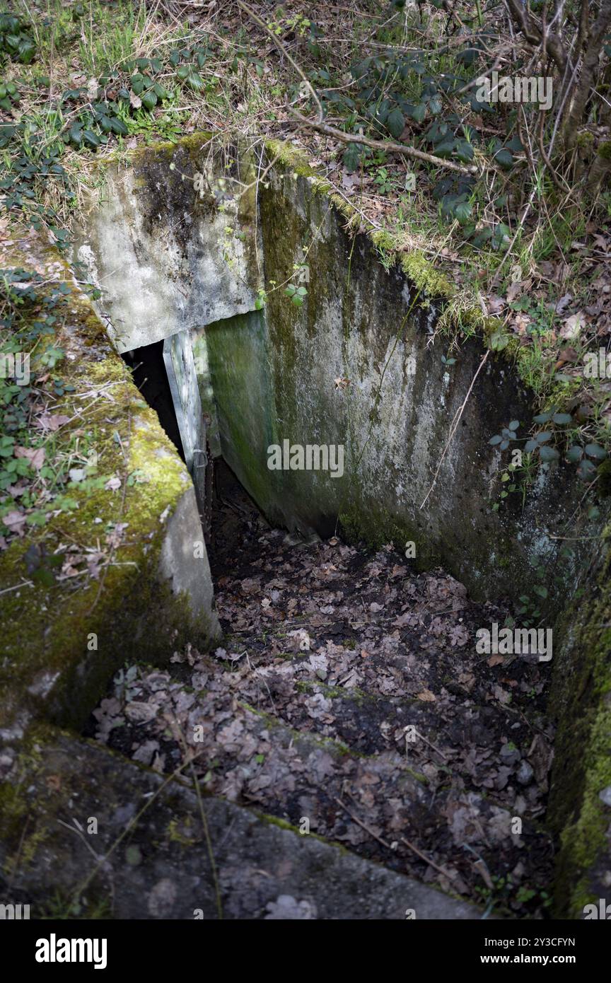 Steps down into the Cheneux bunker, 2nd World War, built 1933-1936 ...