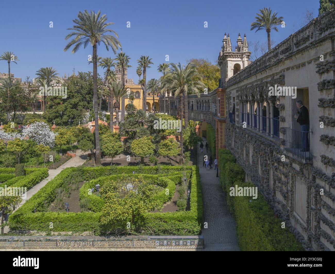 Jardines del Alcazar, gardens with palm trees in the Alcazar, Royal ...