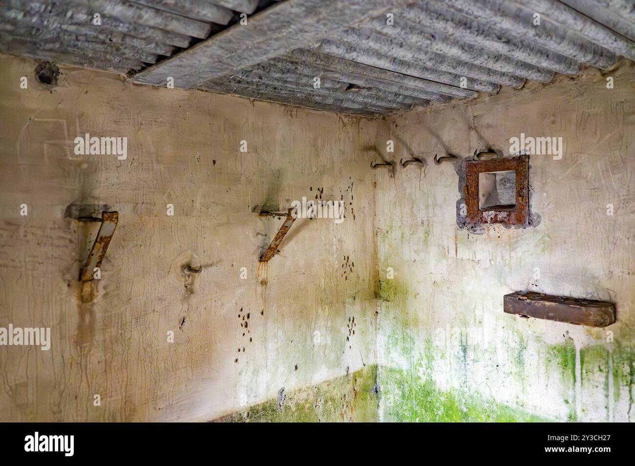 Bunker from inside, Bunker Cheneux, bright, corrugated metal ceiling ...