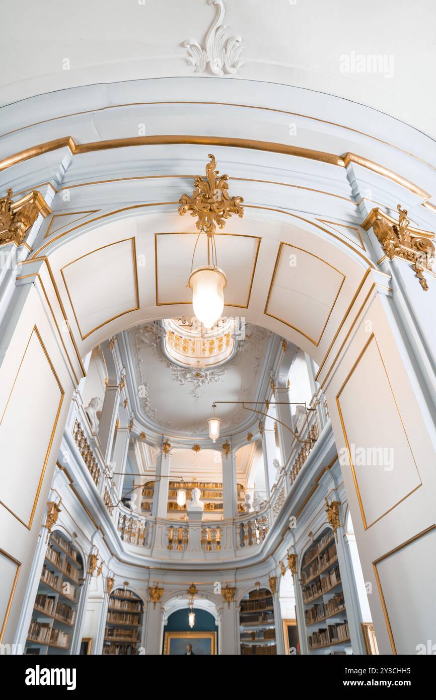 Elegant library architecture with elaborate ceiling and pendant ...