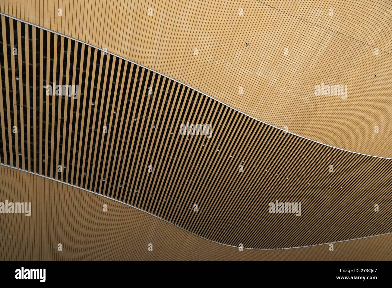 Roof construction, Oodi Central Library and Cultural Centre, design by ...