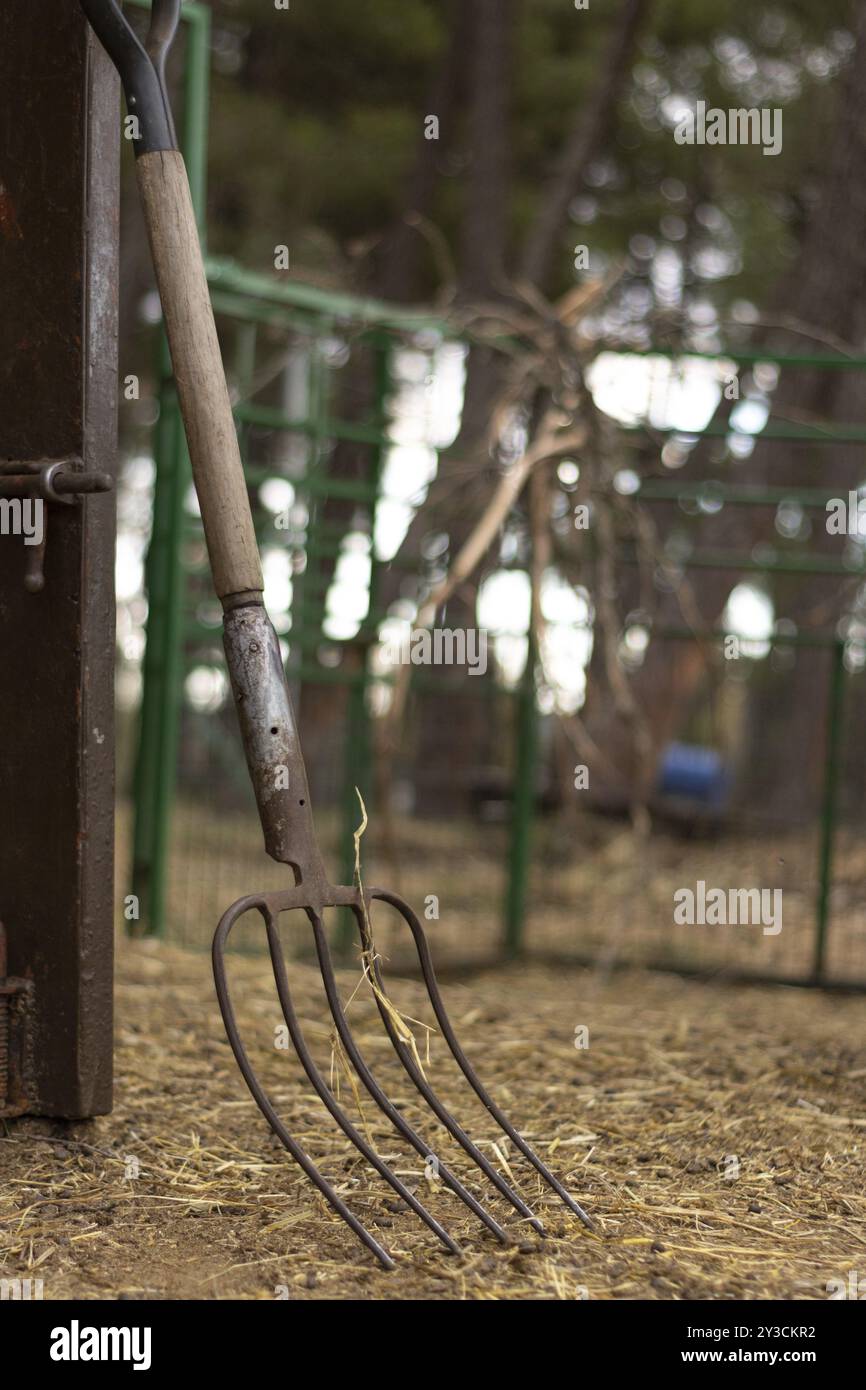Vertical image of a Pitchfork in a barn or farmhouse Stock Photo - Alamy