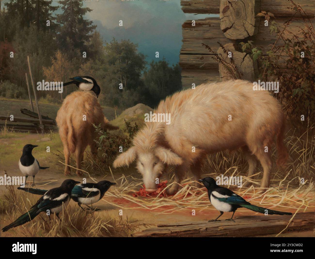 Magpies artwork hi-res stock photography and images - Alamy