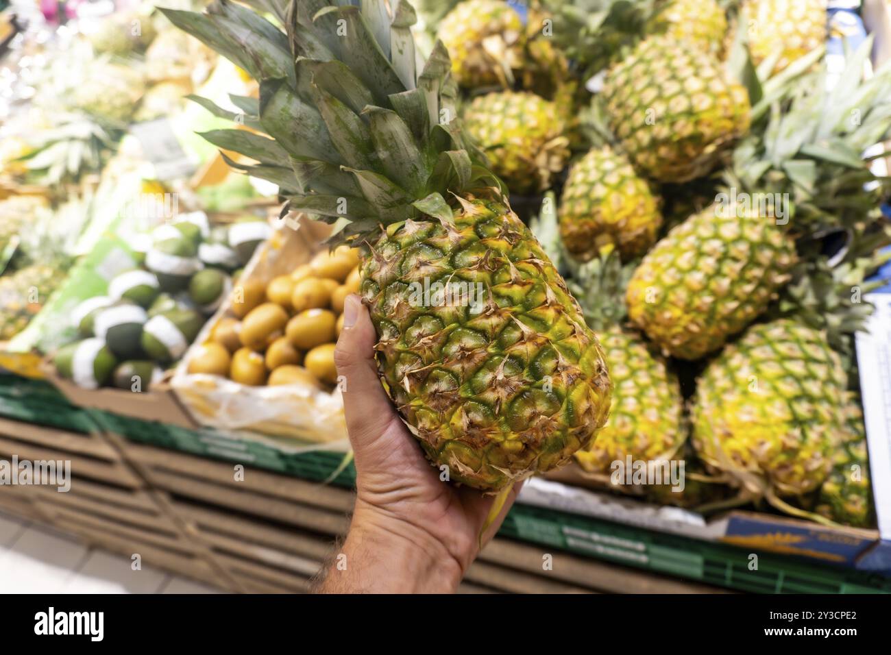 A person is holding a pineapple in a grocery store. The pineapple is ...