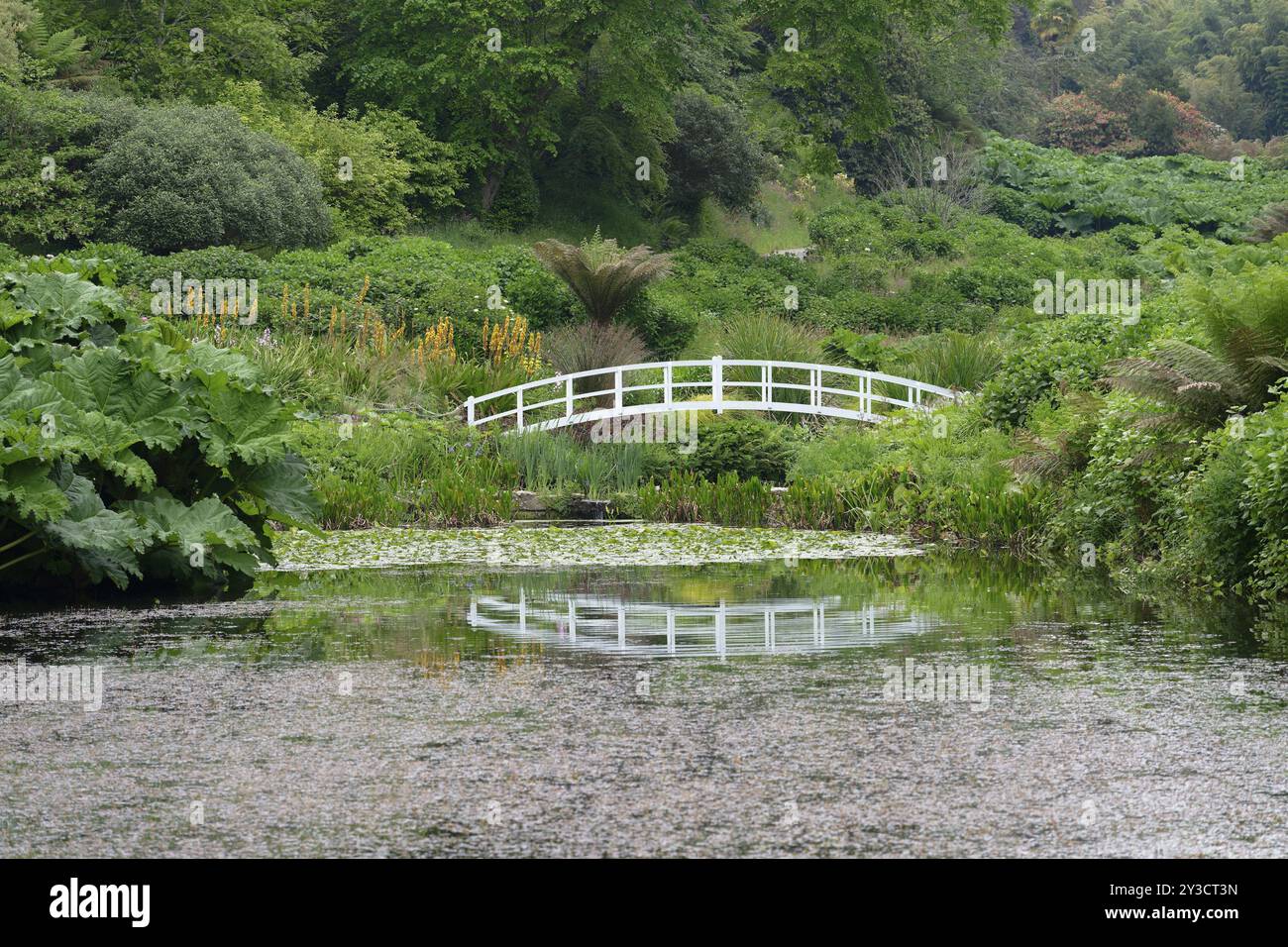 Mallard Bridge, Mallard Pond, Trebah Garden, Falmouth, England, UK ...