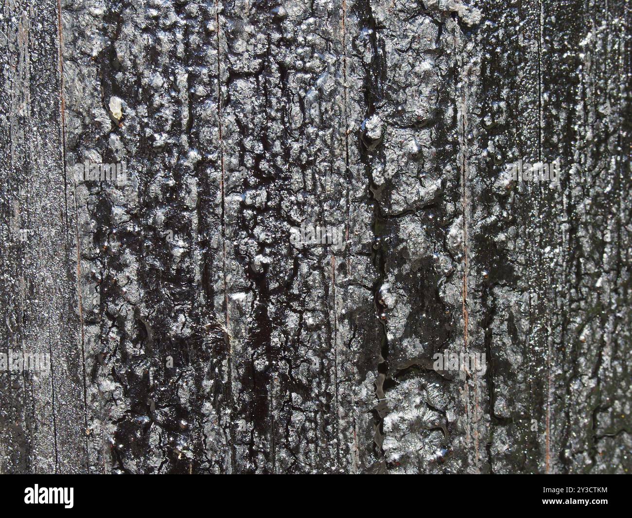 A black melting old bitumen preservative covered textured timber ...