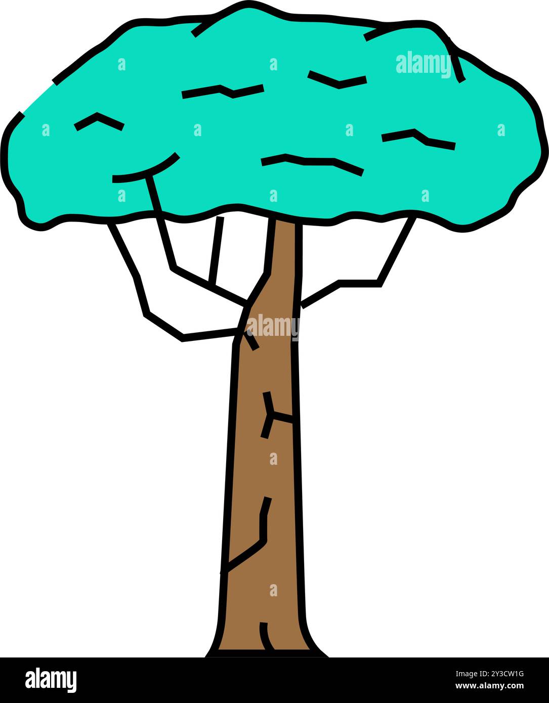 brazil nut tree icon color illustration Stock Vector Image & Art - Alamy