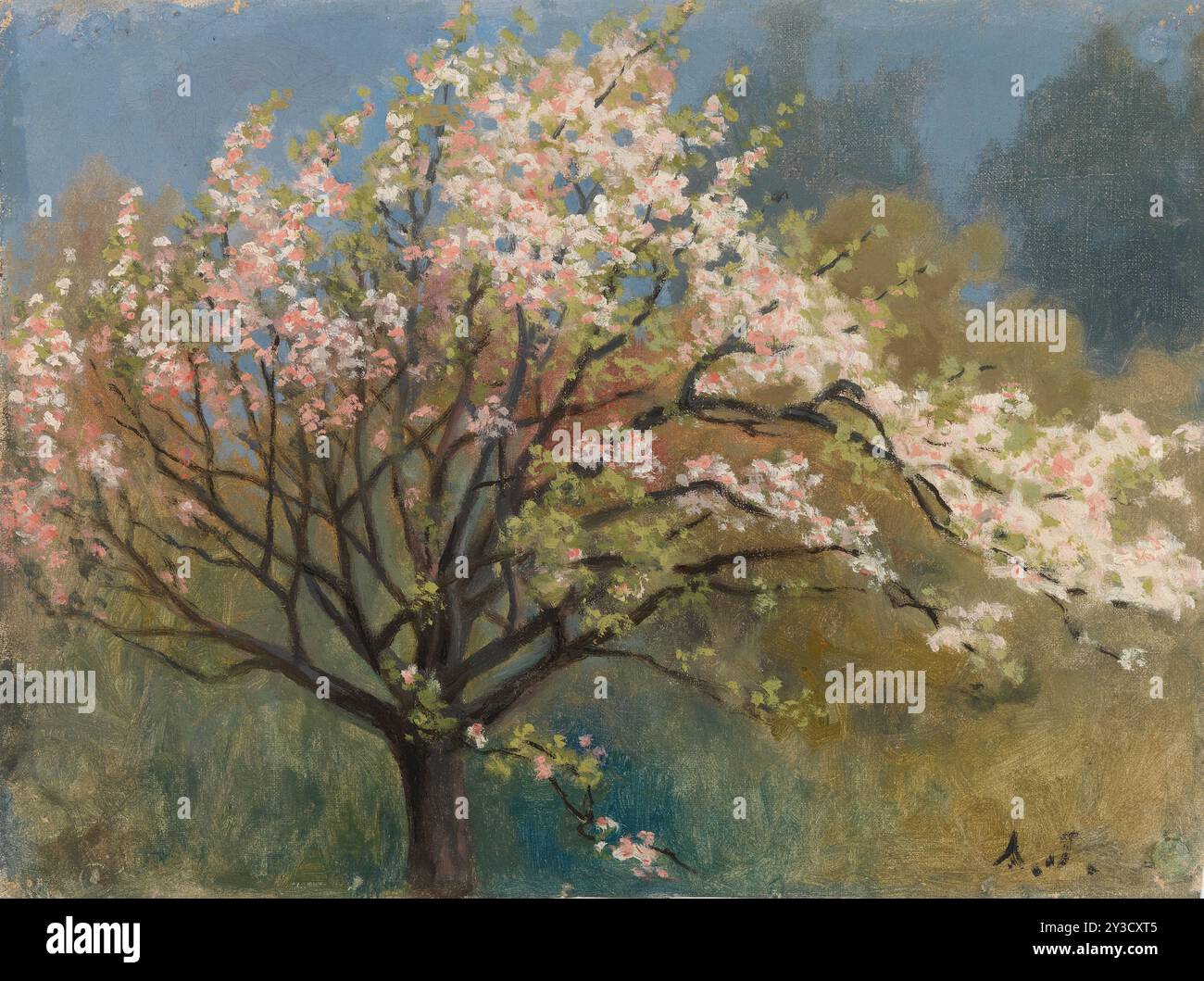 National fruit collection blossom hi-res stock photography and images ...
