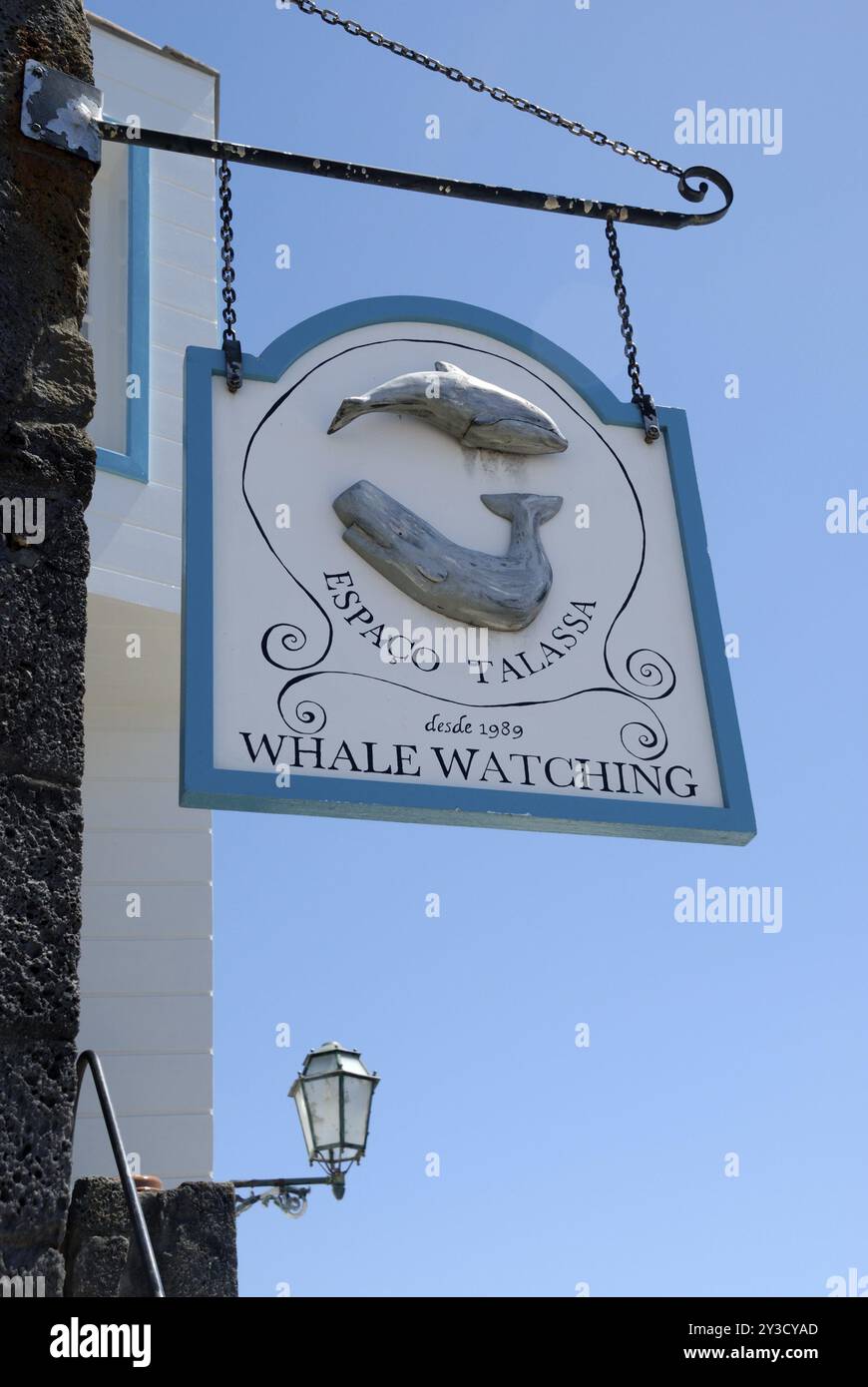 Sign of a whale-watching organiser in Lajes do Pico, Pico Stock Photo ...