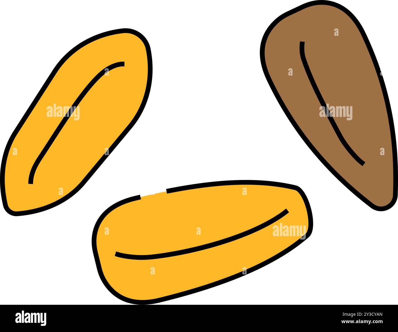 barley grain peeled icon color illustration Stock Vector Image & Art ...