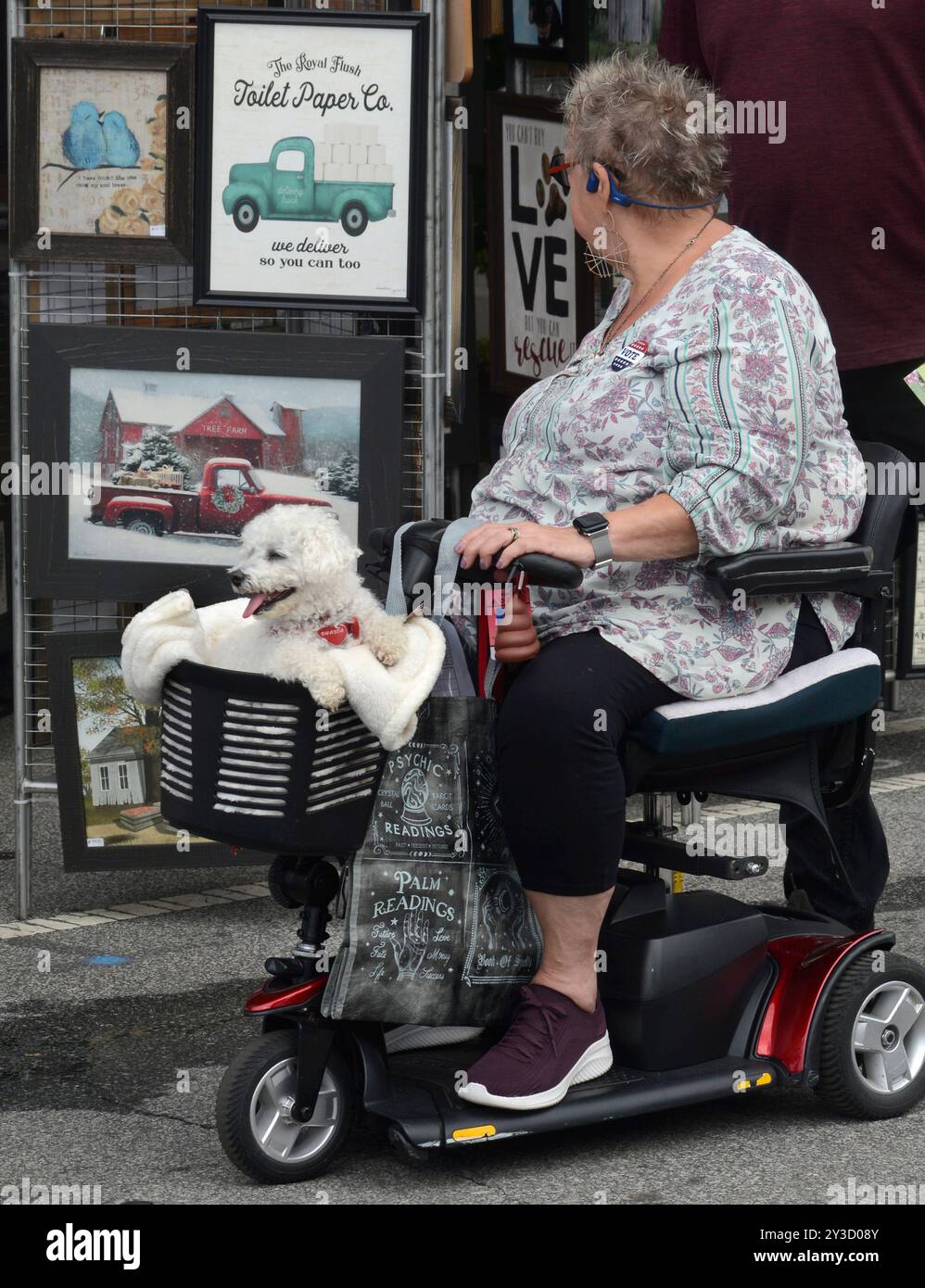 A woman riding a 3 wheel mobility scooter with her toy poodle peruse an ...