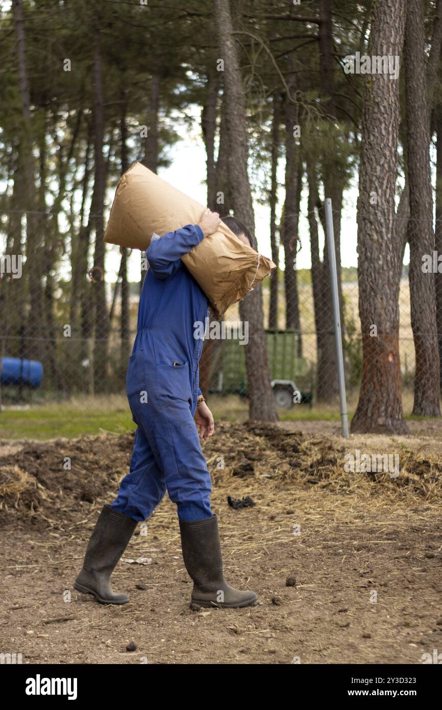 Young guy farmer looks hi-res stock photography and images - Alamy