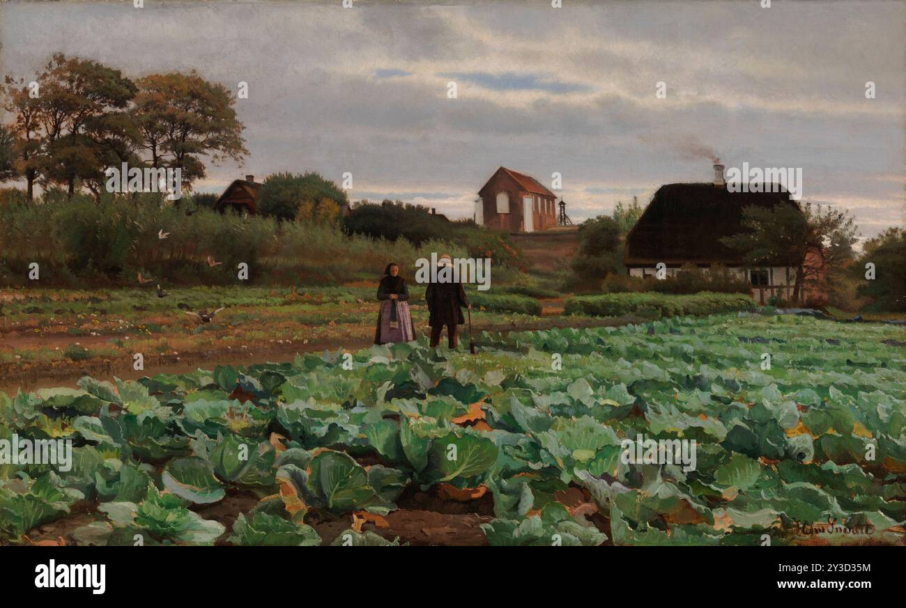 Cabbage patch, 1870-1917 Stock Photo - Alamy