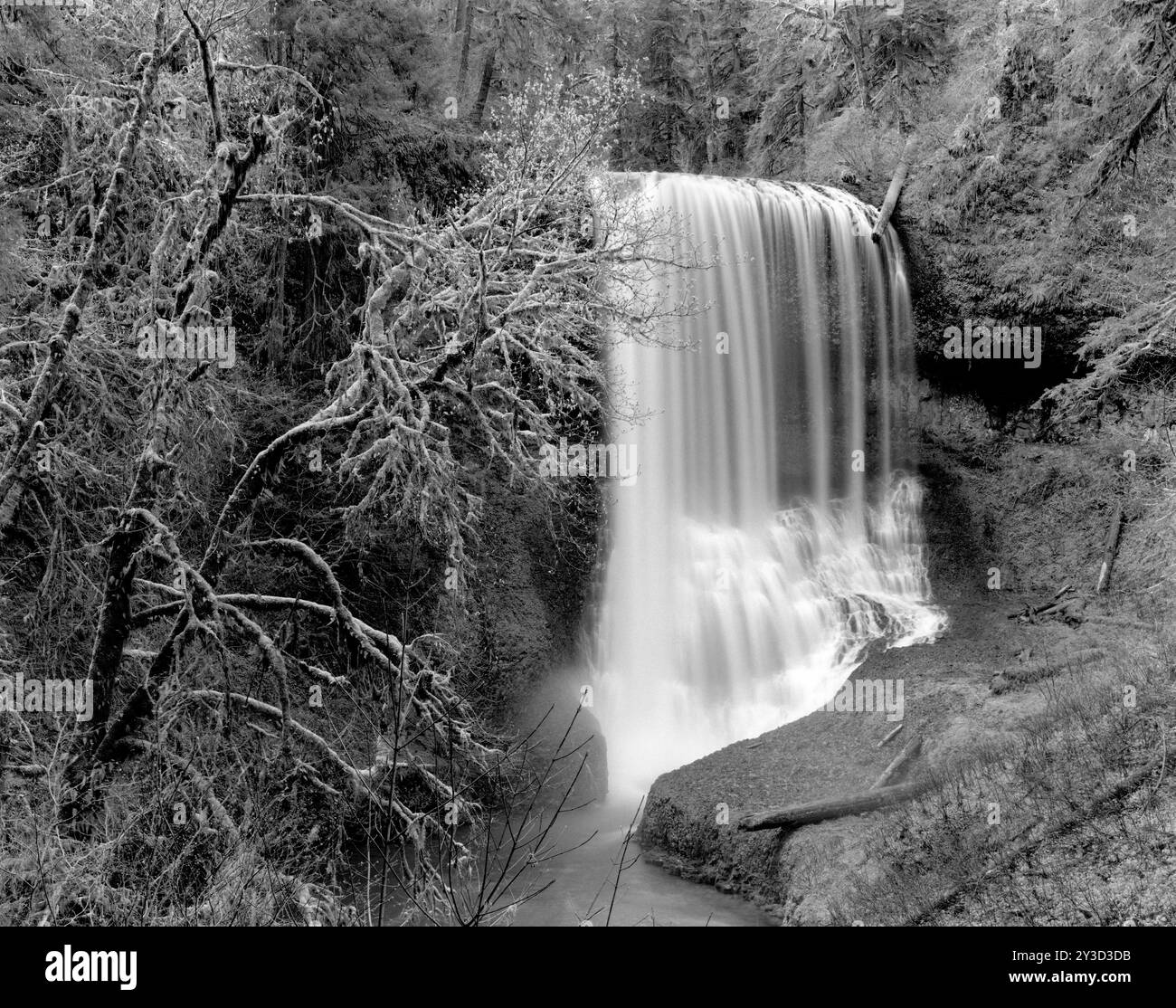 BW02071-00....OREGON - Middle North Falls in Silver Falls State Park ...