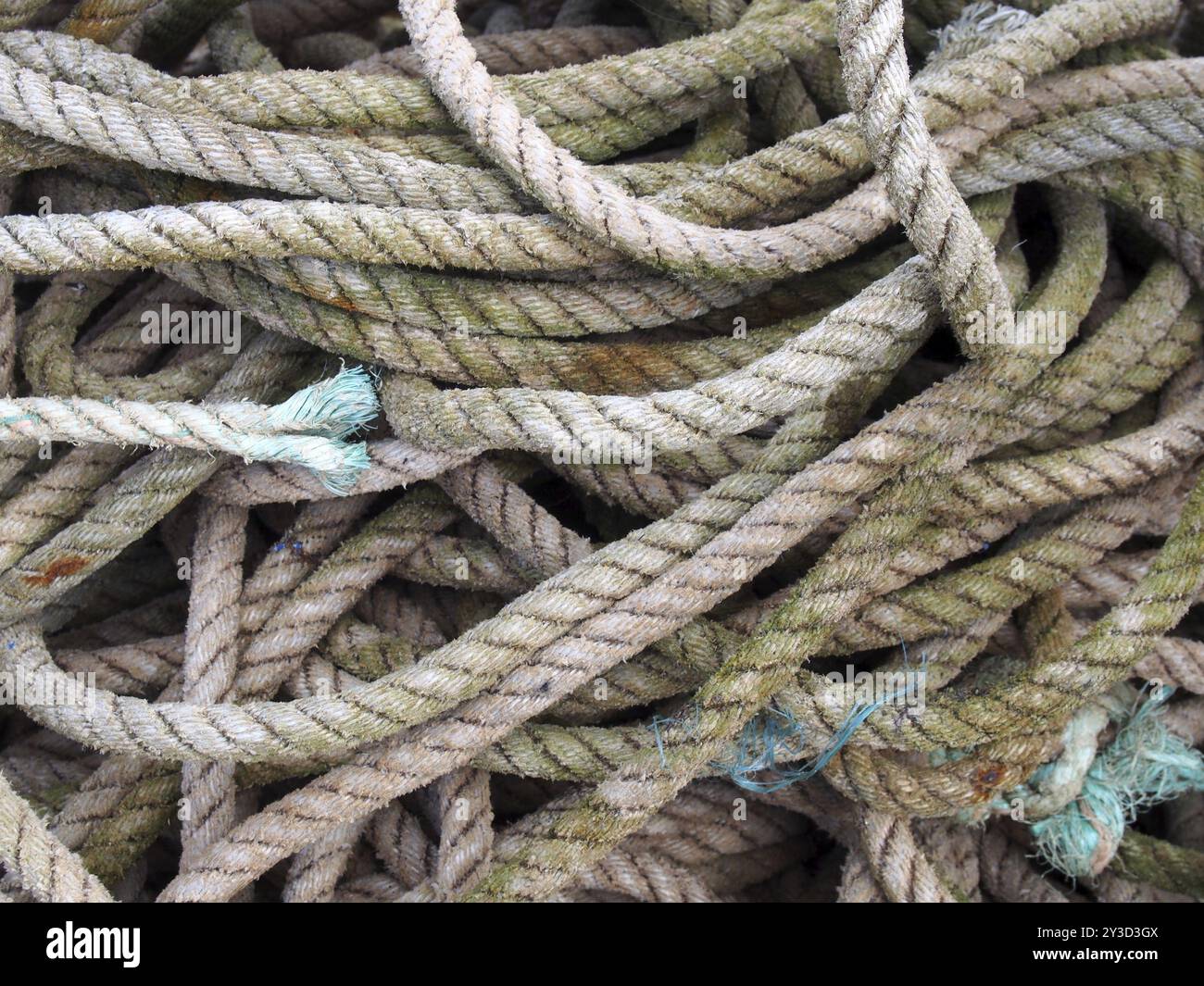 Old worn brown coiled and knotted marine fishing rope with frayed ends ...
