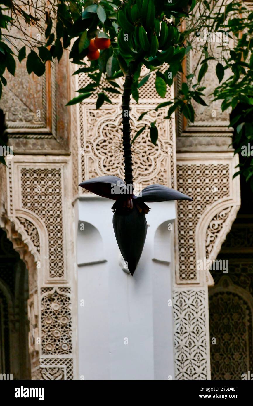 El Bahia Palace, Marrakesh, Imperial city of Morocco Stock Photo - Alamy