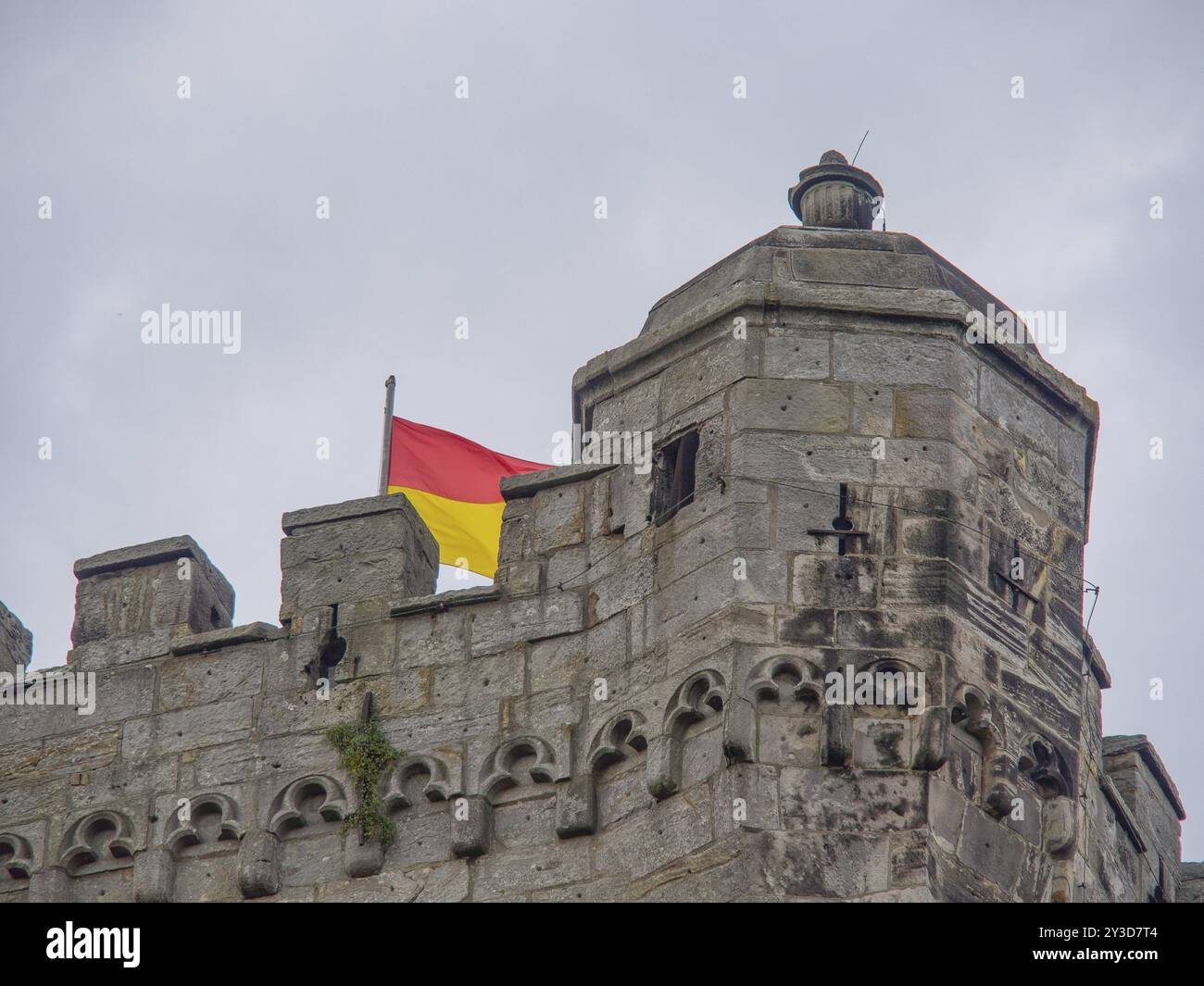 The picture shows a medieval castle with a German flag on a tower ...