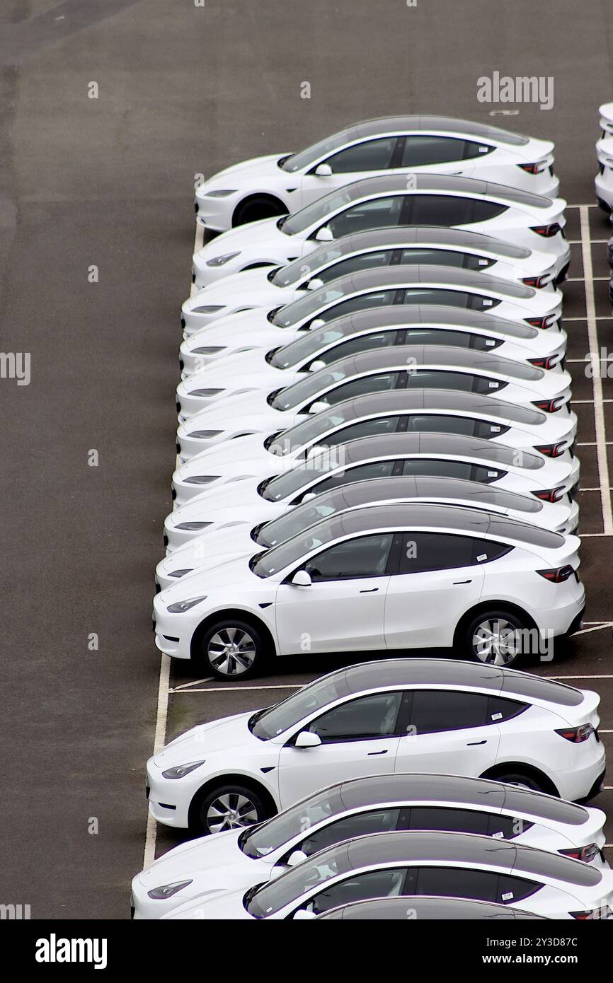 A line of white Tesla electric vehicles in a vehicle holding area ...