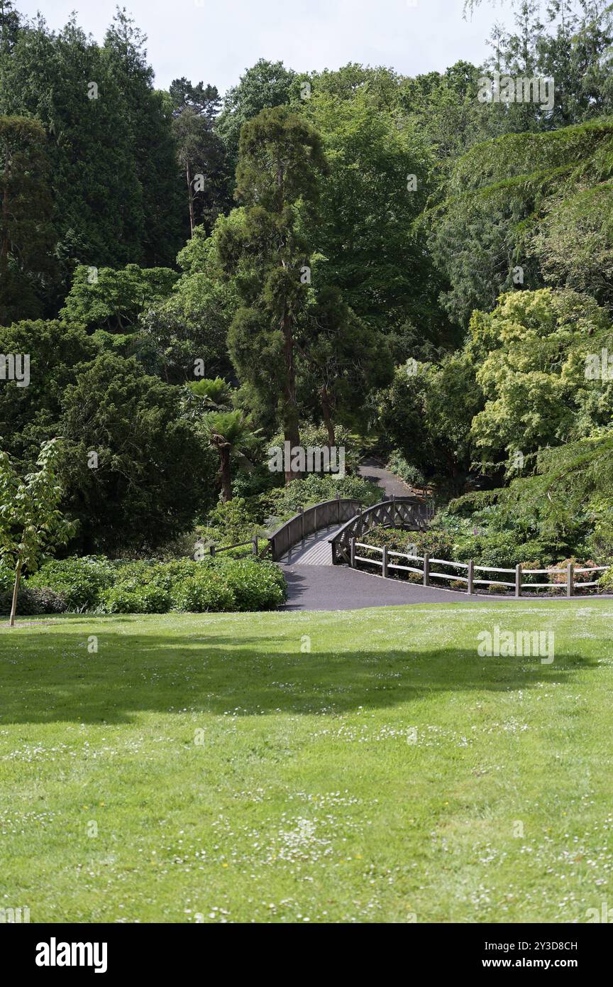 Bridge, Carcaddon, Trelissick Garden, Coombe, Truro, England, Great ...