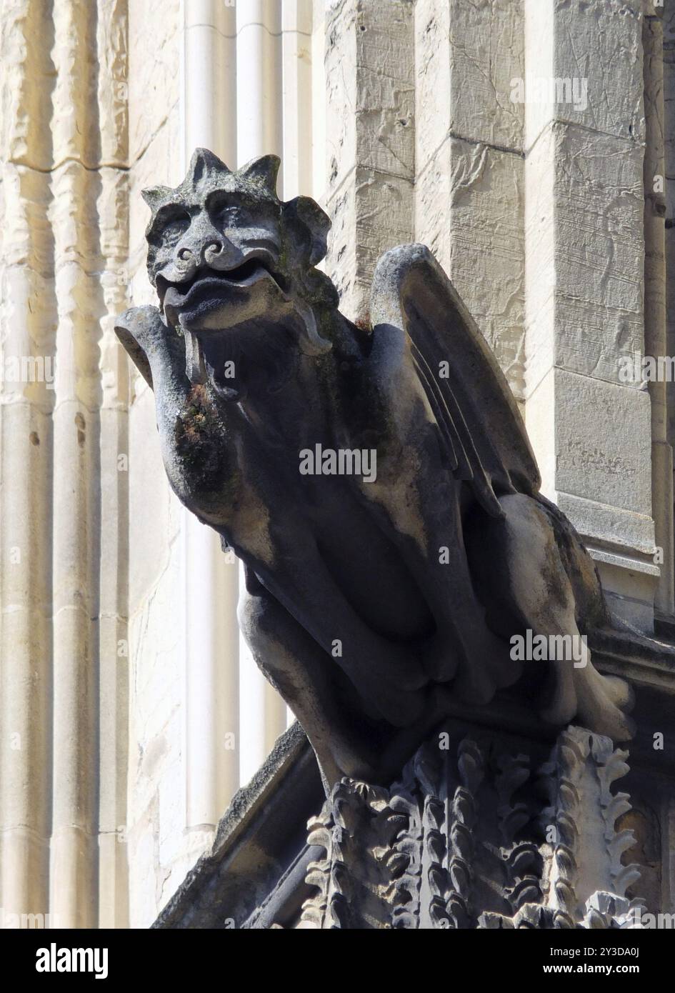 Medieval gargoyle on york minster england Stock Photo - Alamy