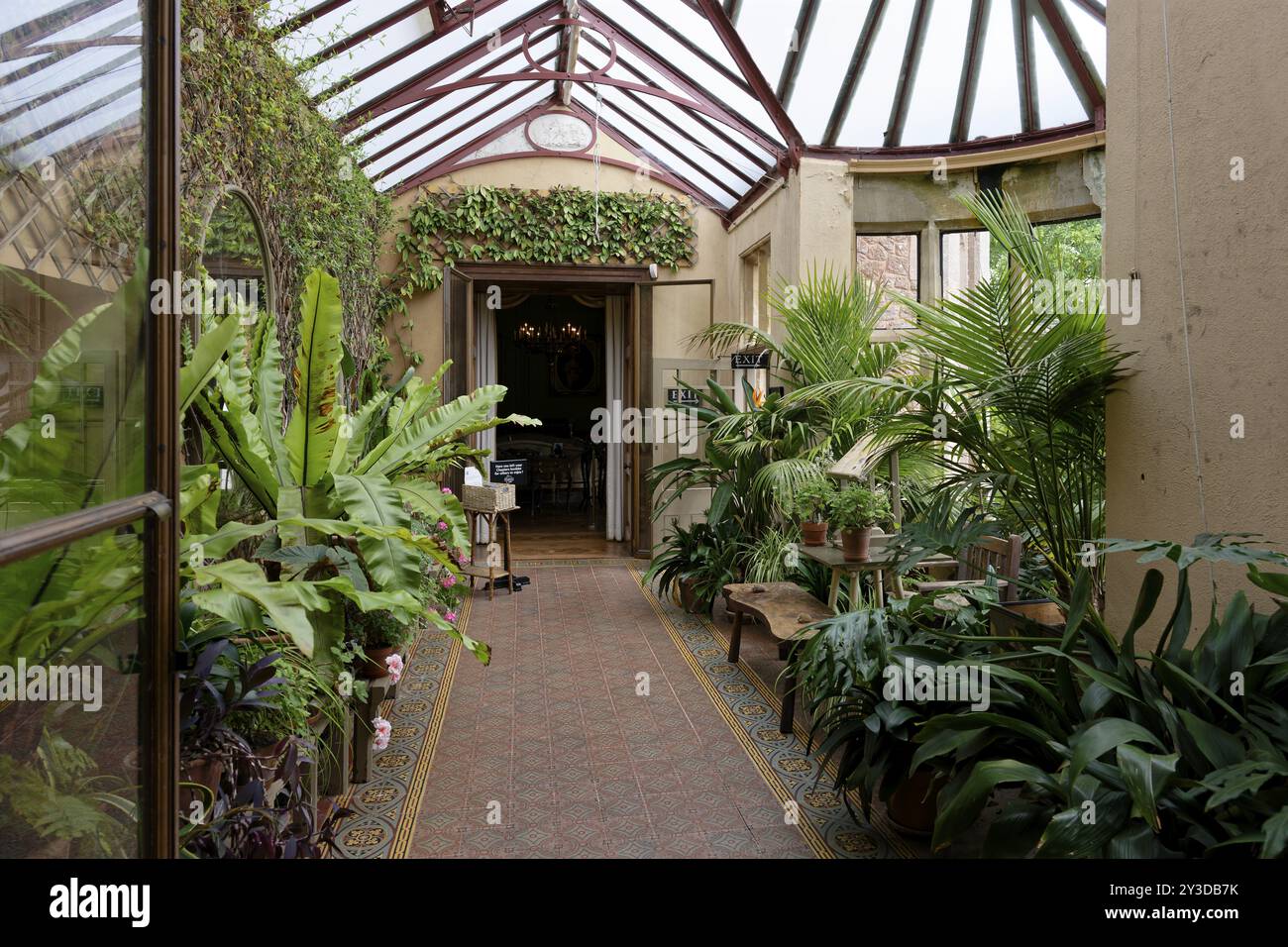 Interior view, Conservatory, Dunster Castle, Dunster, England, Great ...